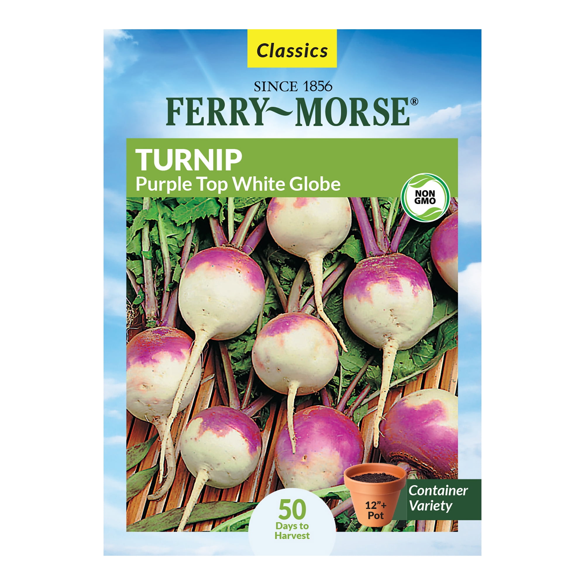 Ferry-Morse 1.7G Turnip Purple Top White Globe Biennial Vegetable Seeds ...