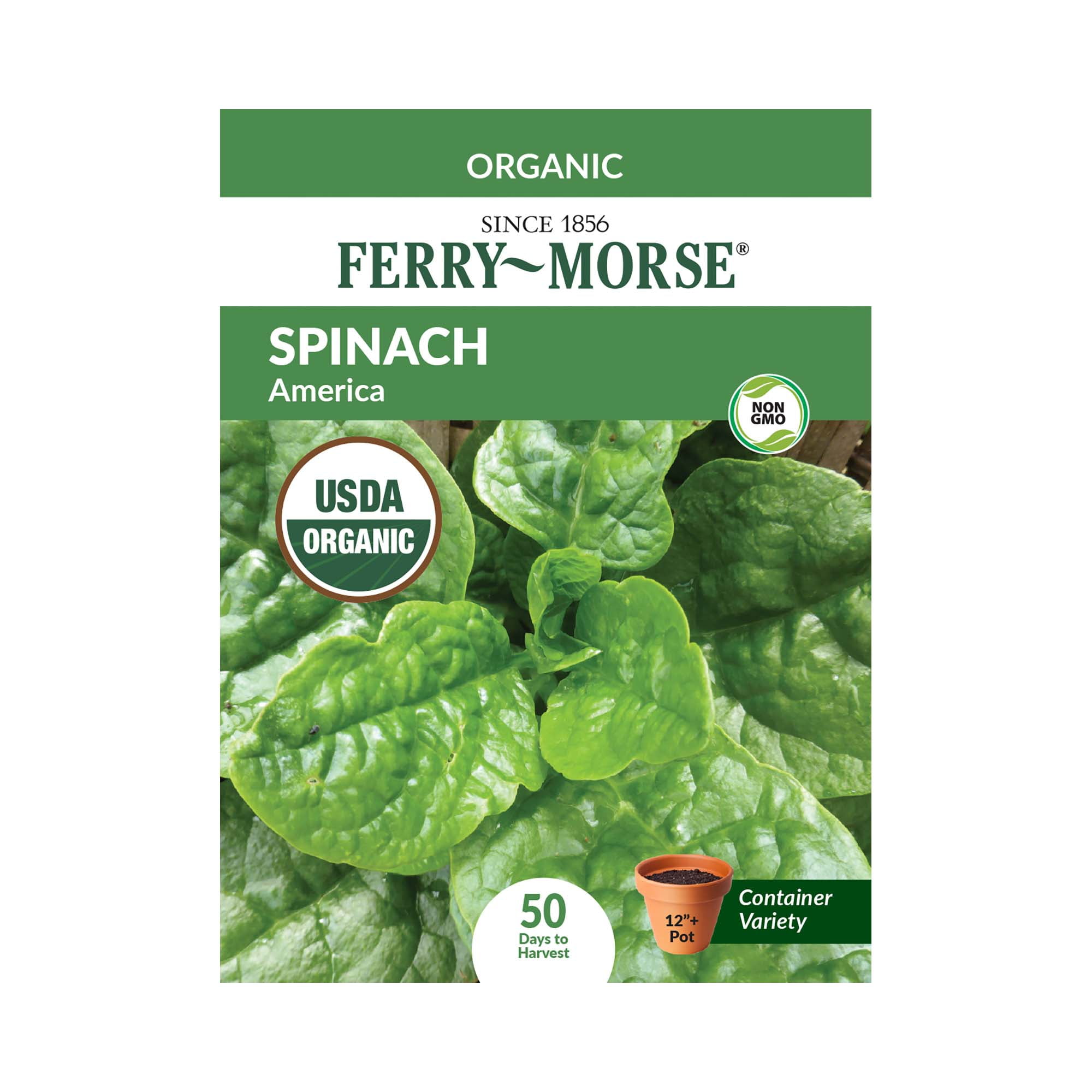 Ferry-Morse Organic 1.8G Spinach America Annual Vegetable Seeds, Full ...