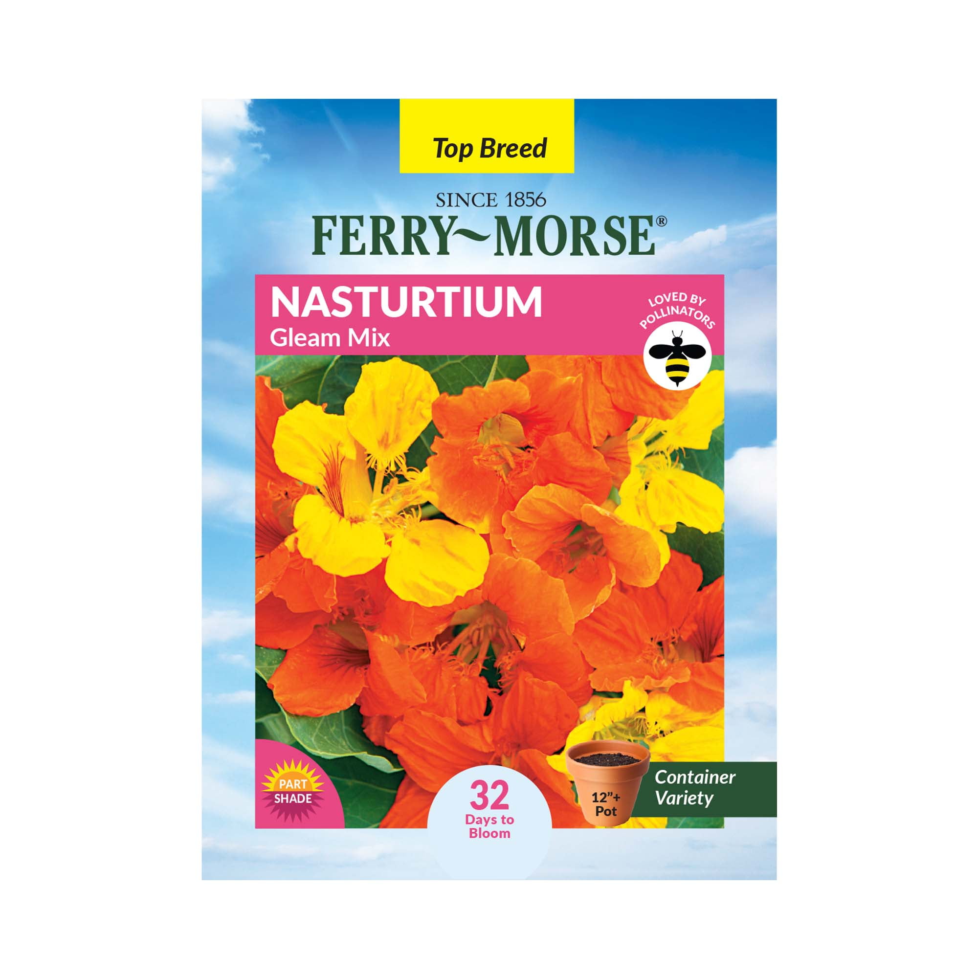 Ferry-Morse 1.9G Nasturtium Gleam Mix Annual Flower Seeds, Full Sun ...