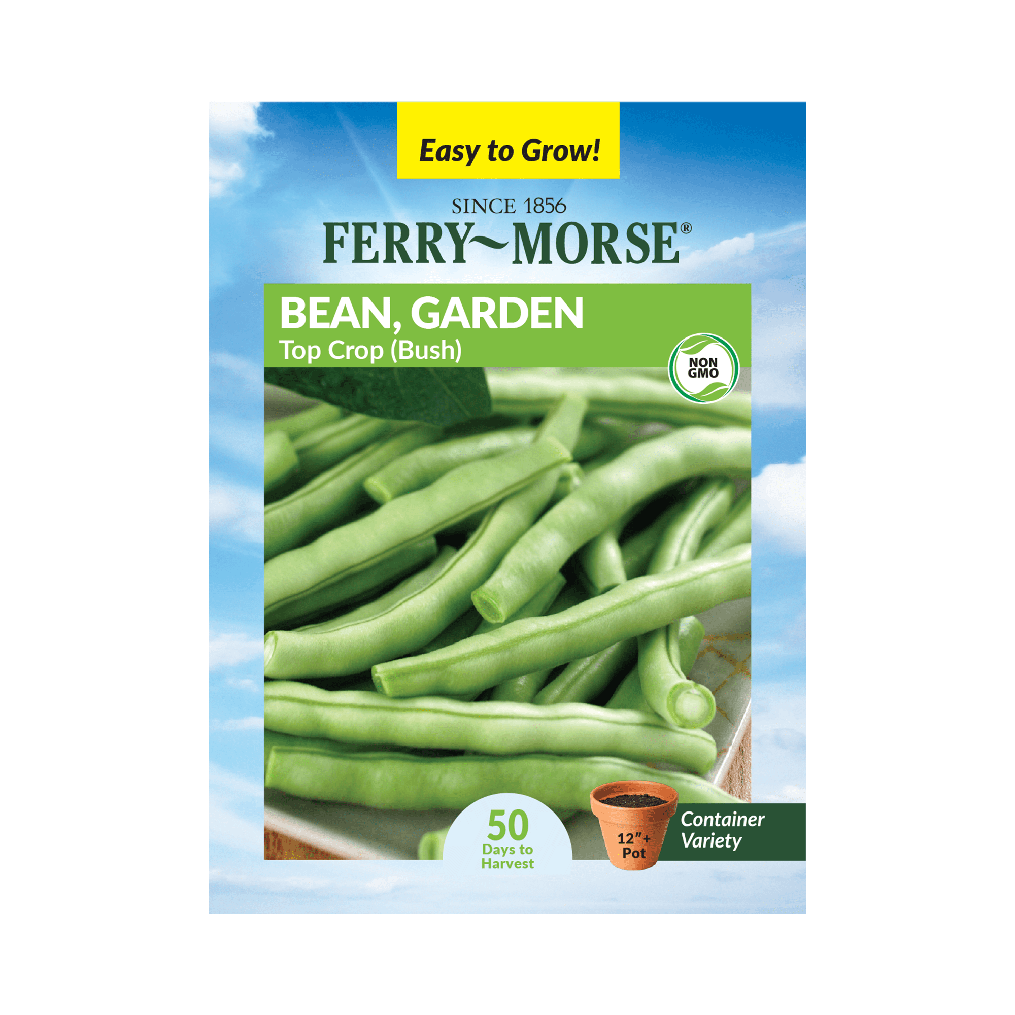 Ferry-Morse 11000MG Bean, Garden Top Crop (Bush) Vegetable Plant Seeds ...