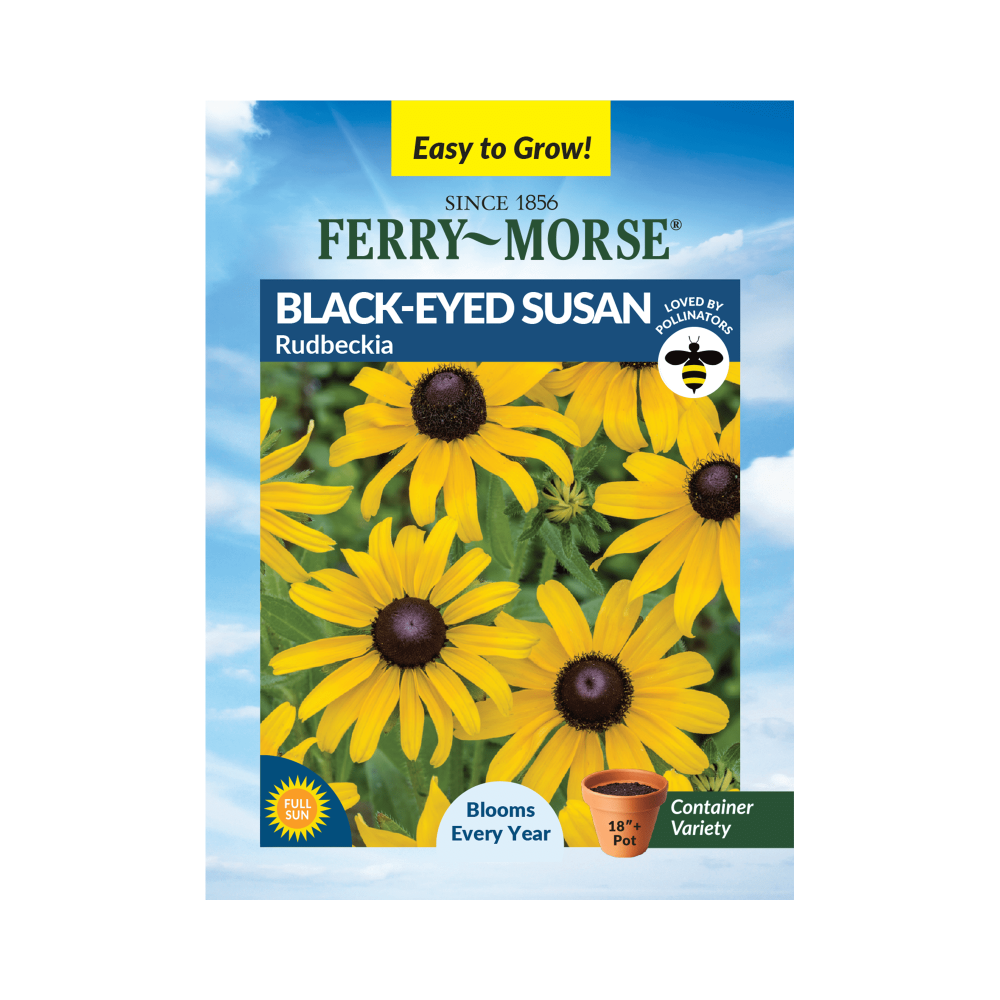 Ferry-Morse 110MG Black-Eyed Susan Rudbeckia Hirta Perennial Flower ...