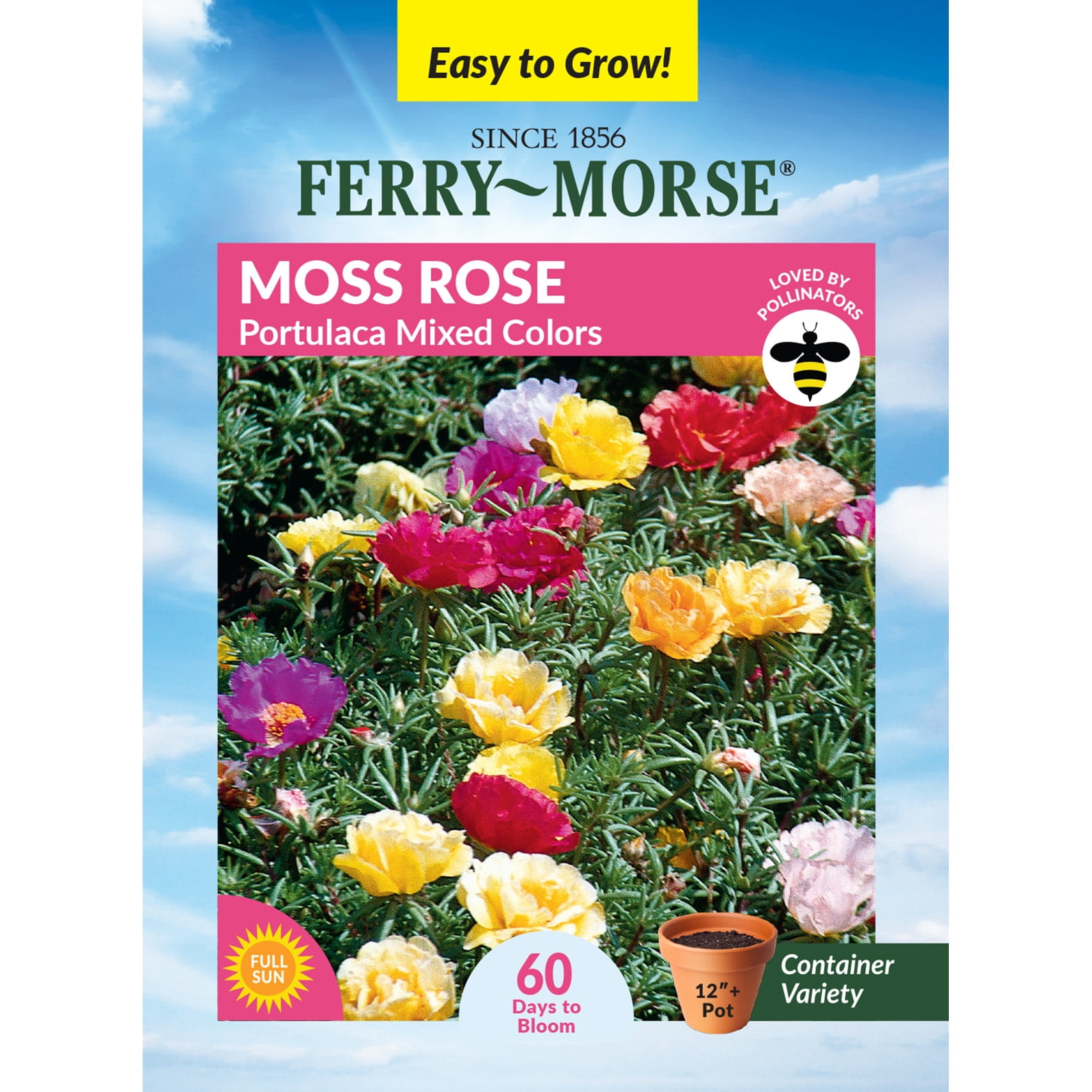 Ferry-Morse Moss Rose Portulaca Annual Flower Seeds 120 mg - Full Sun ...