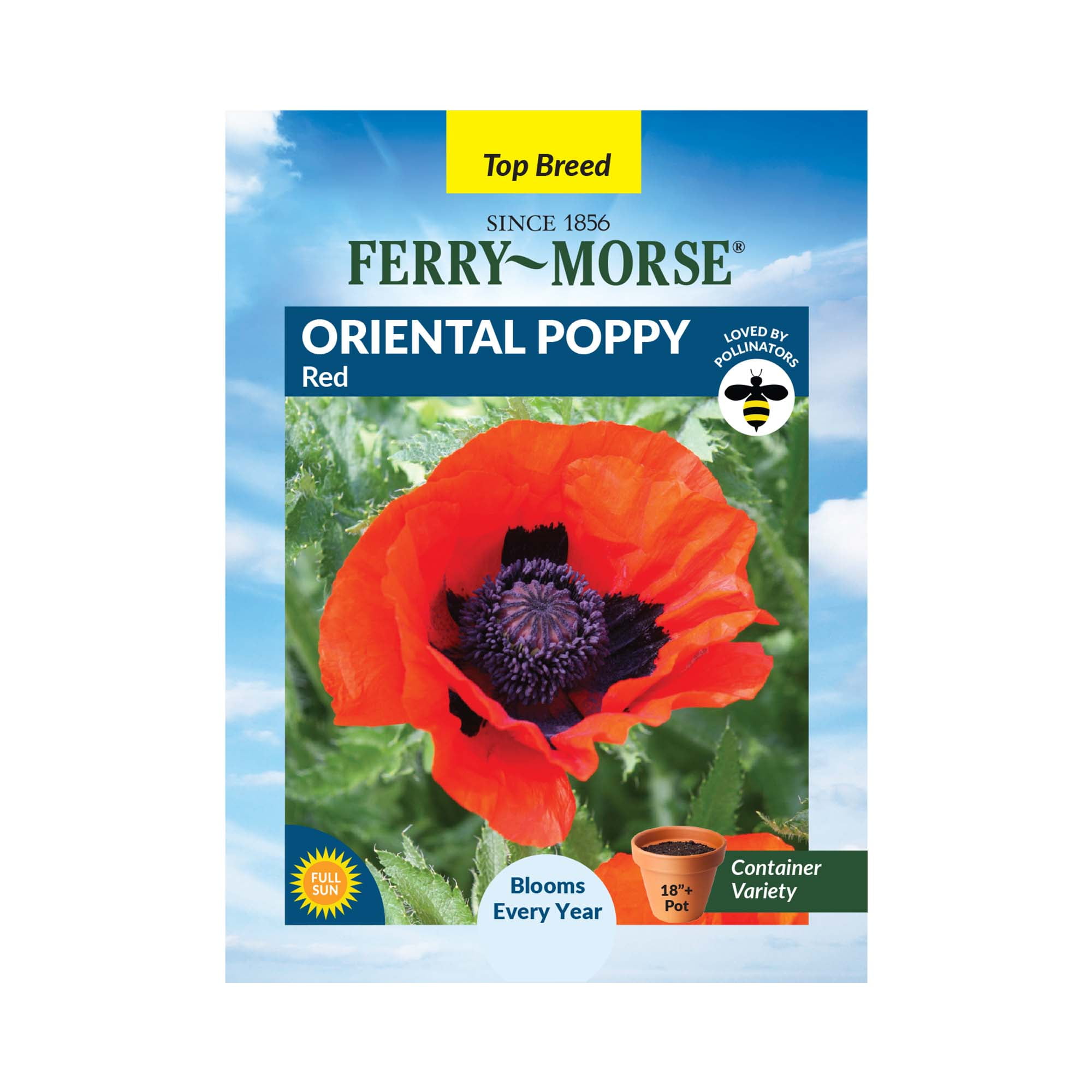 Ferry-Morse 120MG Oriental Poppy Red Perennial Flower Seeds, Full Sun ...