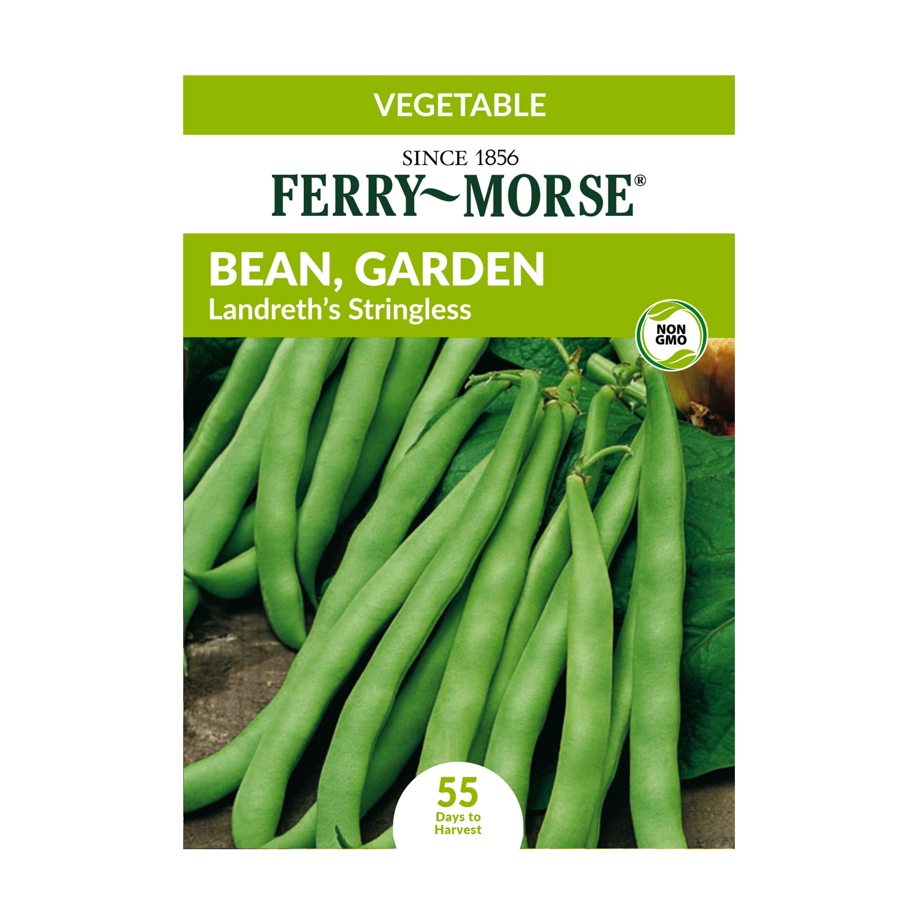 Ferry-Morse 12G Bean, Garden Landreth's Stringless Vegetable Plant Seed ...