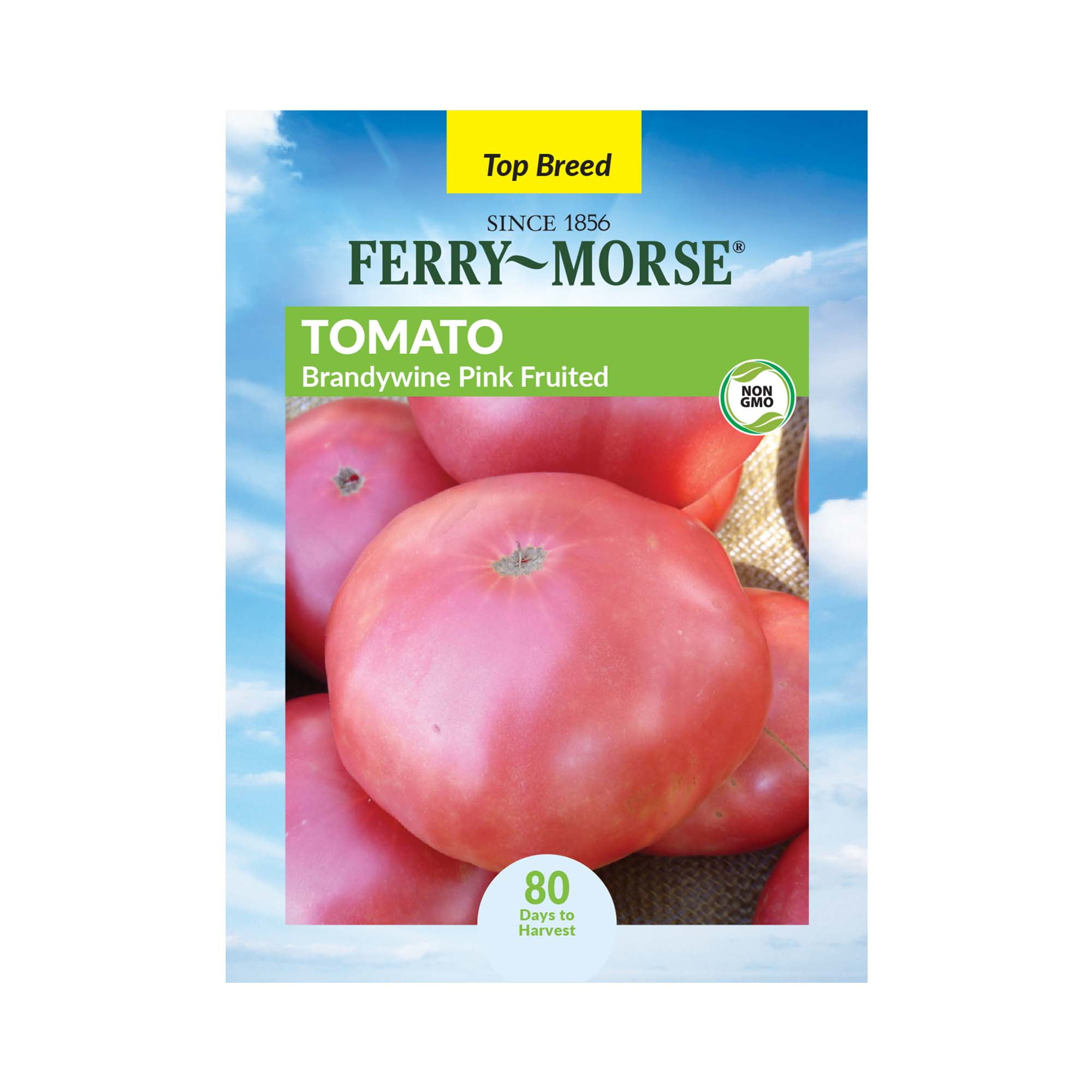 Ferry-Morse 120MG Tomato Brandywine Pink Fruited Annual Vegetable Seeds ...