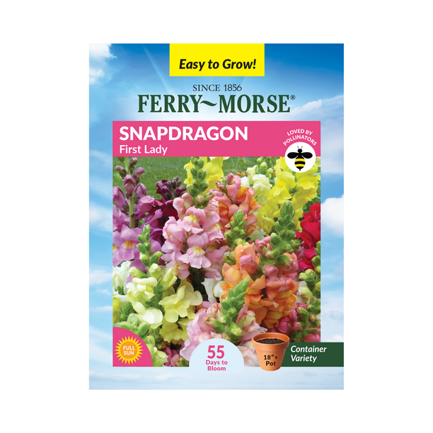Ferry-Morse 120MG Snapdragon First Lady Annual Flower Seeds, Full Sun ...