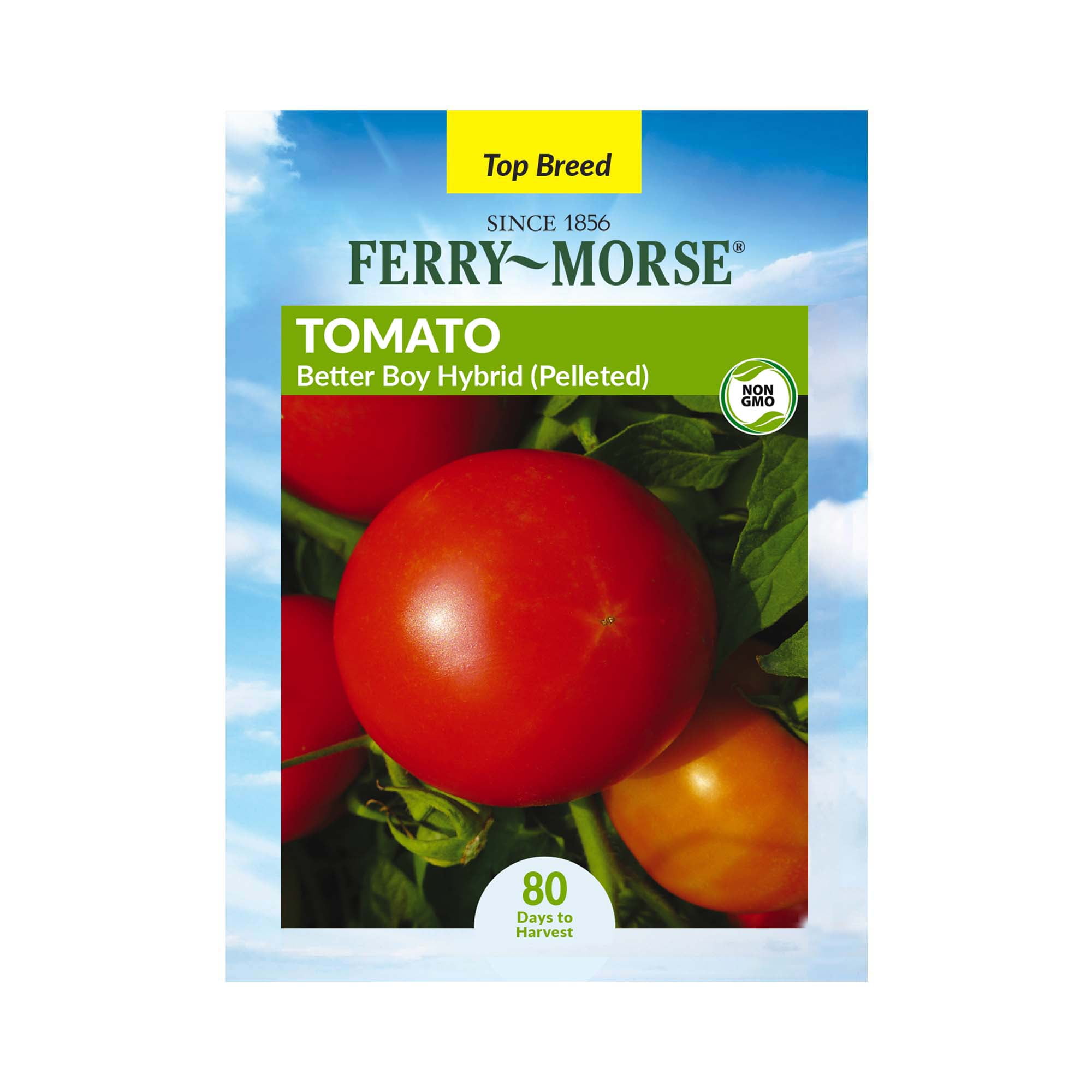 Ferry-Morse 15 PS Tomato Better Boy Hybrid Annual Vegetable Seeds, Full ...