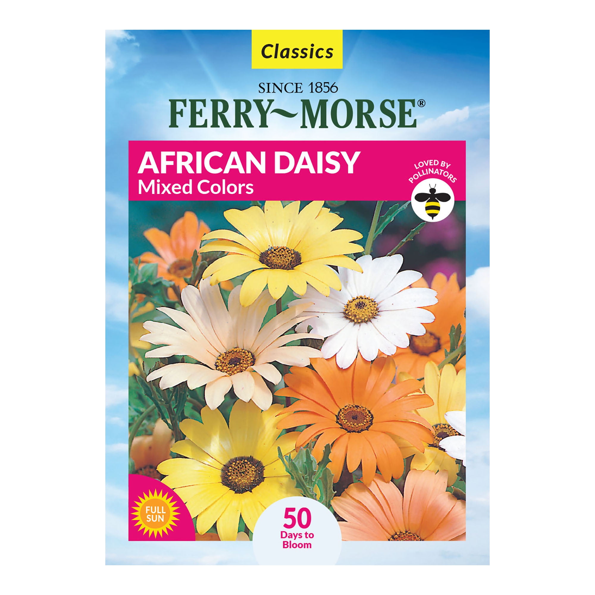 Ferry-Morse 150MG African Daisy Mixed Colors Annual Flower Seeds, Full ...