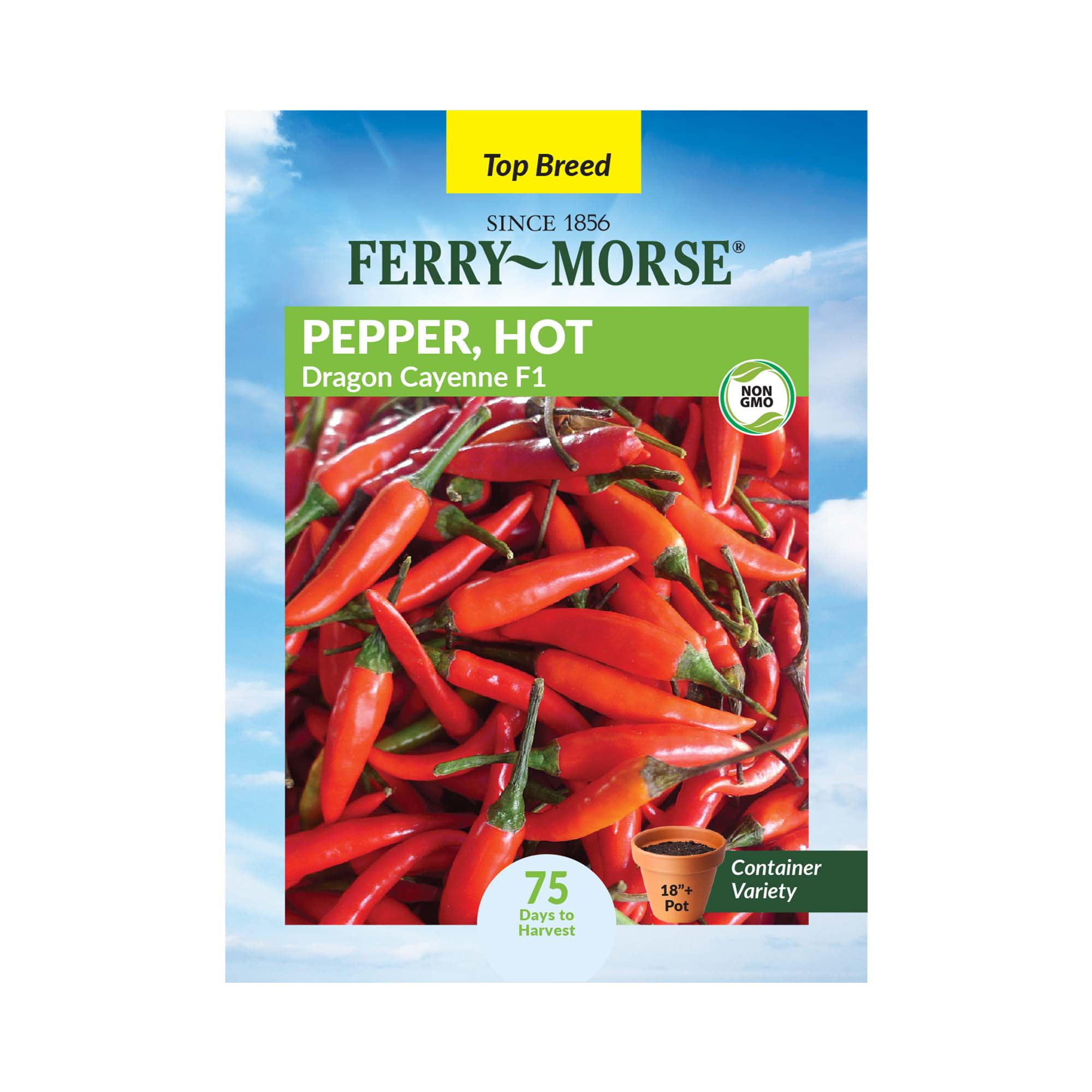 Ferry-Morse 150MG Pepper Dragon Cayenne F1 Annual Vegetable Seeds, Full ...