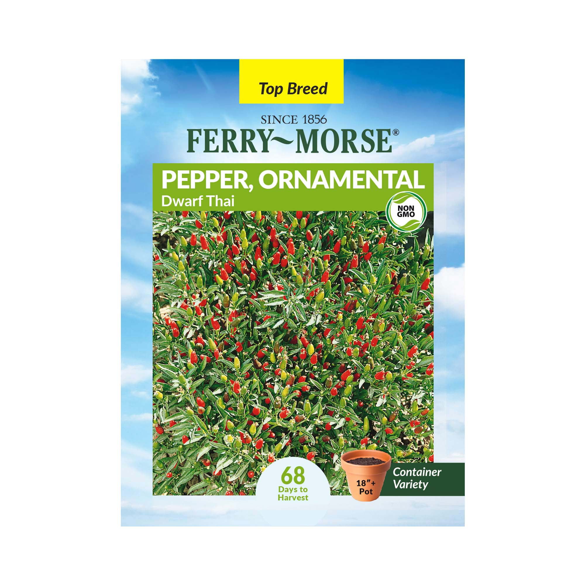 Ferry-Morse 150MG Pepper Dwarf Thai Annual Vegetable Seeds, Full Sun ...