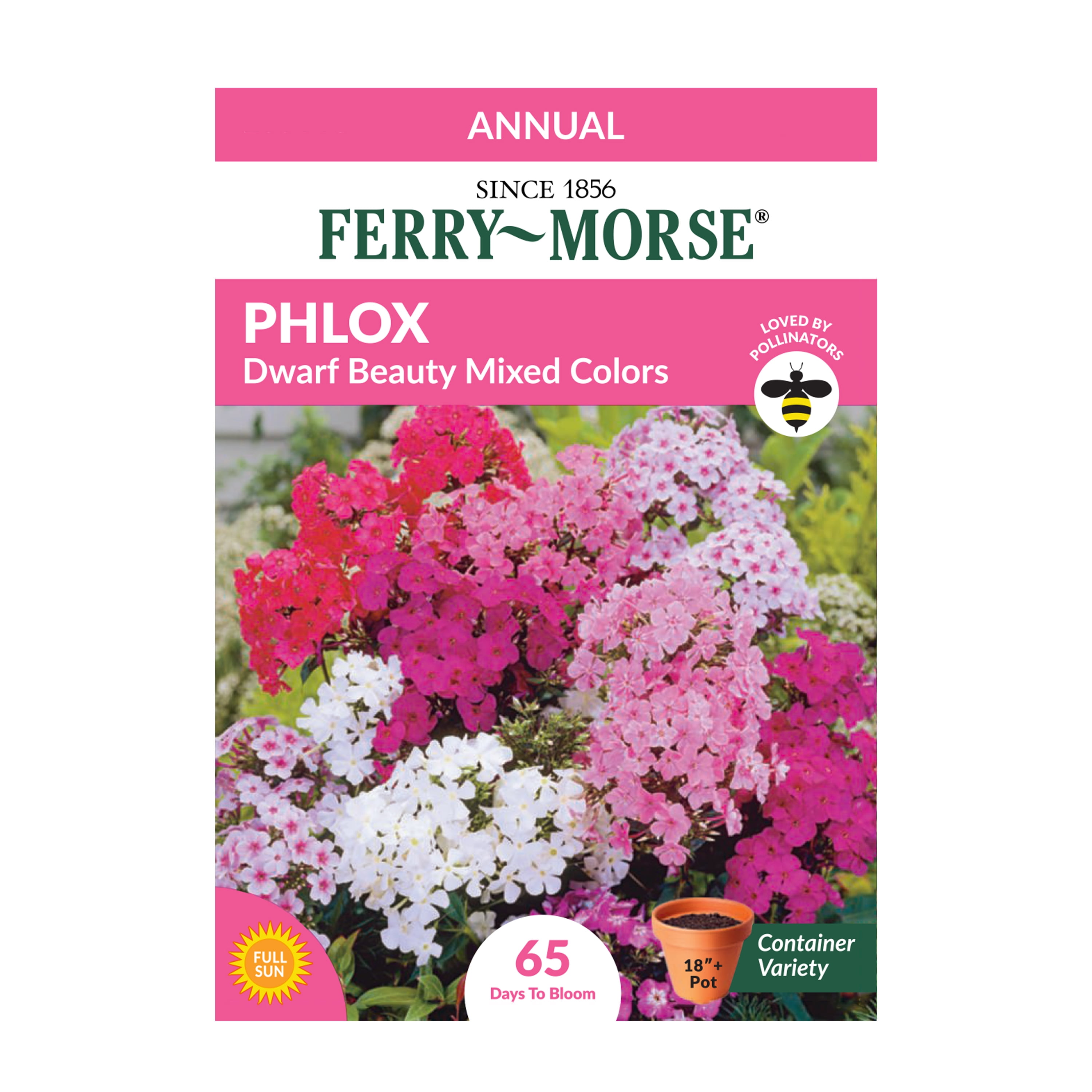 Ferry-Morse 15MG Phlox Dwarf Beauty Mixed Colors Annual Flower Seeds ...