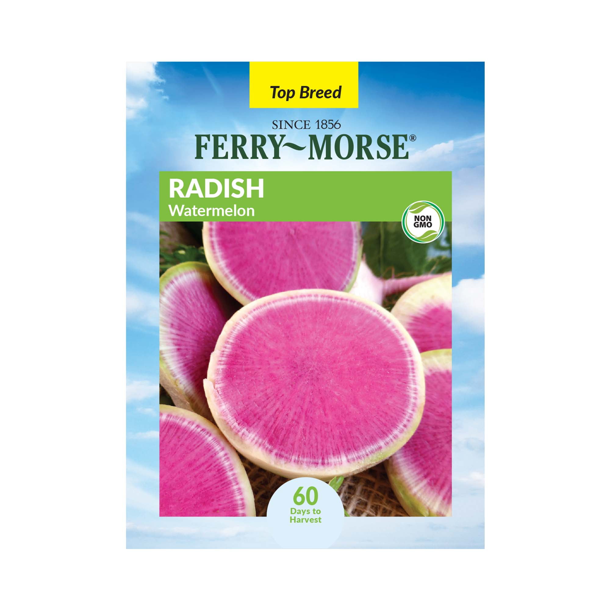 Ferry-Morse 1800MG Radish Watermelon Vegetable Plant Seeds Full Sun ...