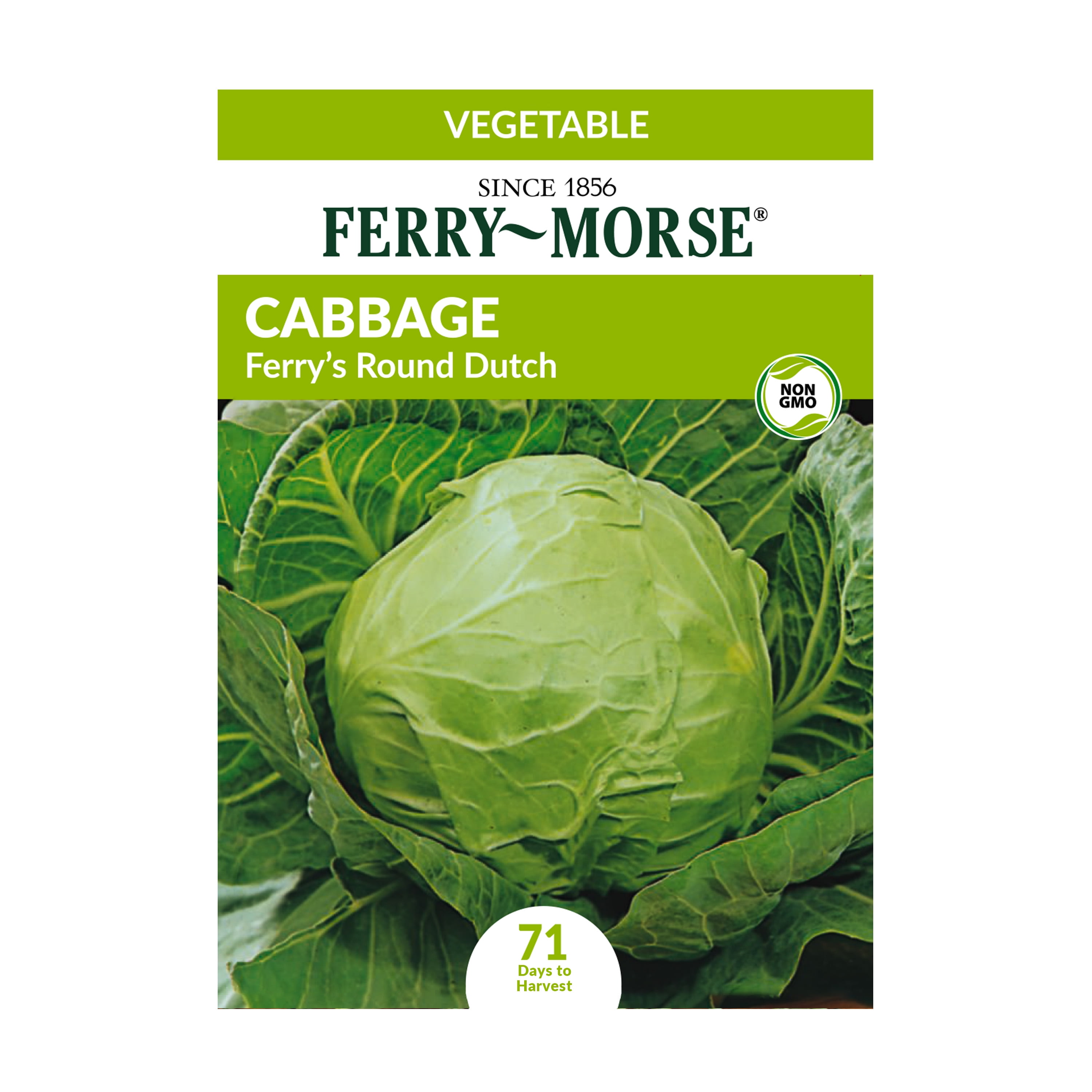 Ferry-Morse 1G Cabbage Ferry's Round Dutch Vegetable Plant Seed Full ...
