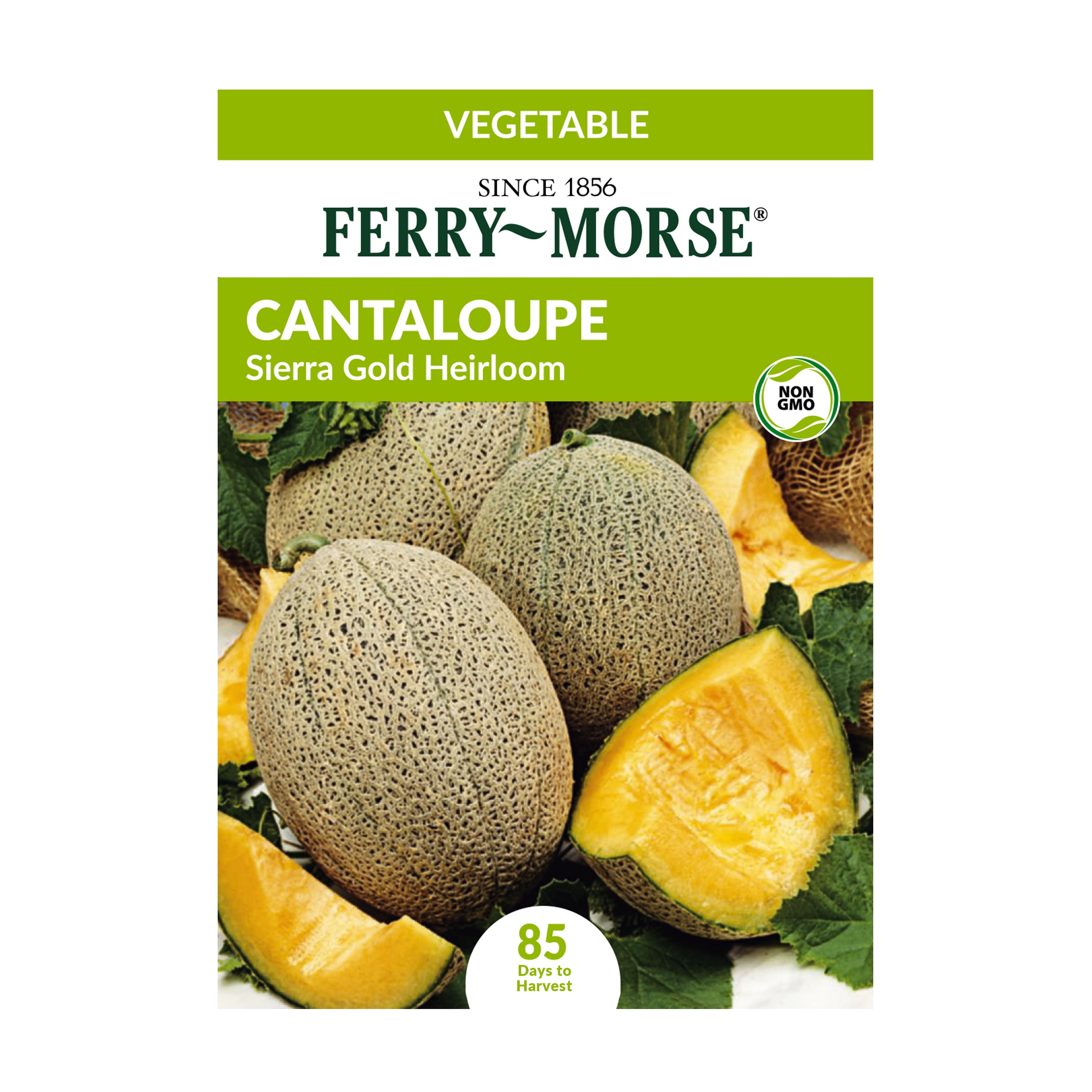 Ferry-Morse 1G Cantaloupe Sierra Gold Fruit Plant Seed Full Sun ...