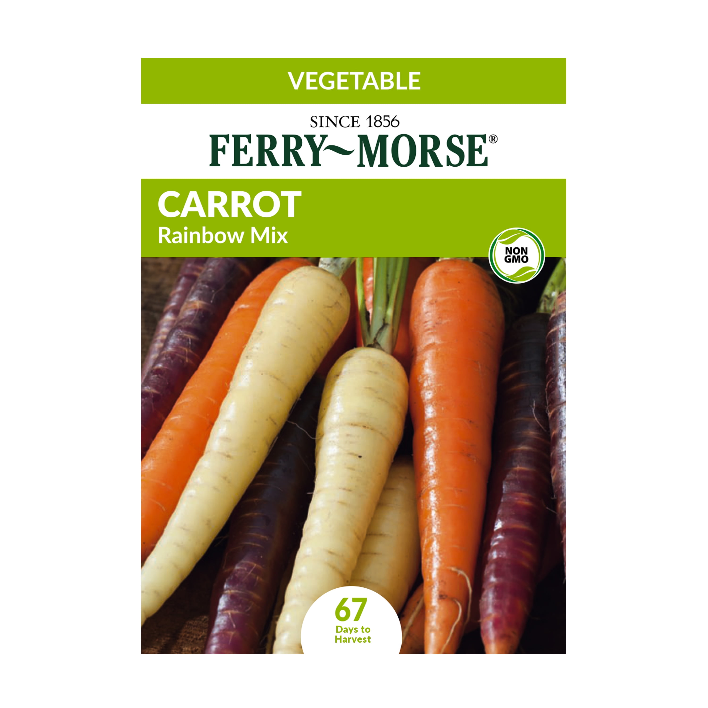 Ferry-Morse 1G Carrot Rainbow Mix Vegetable Plant Seed Full Sun ...