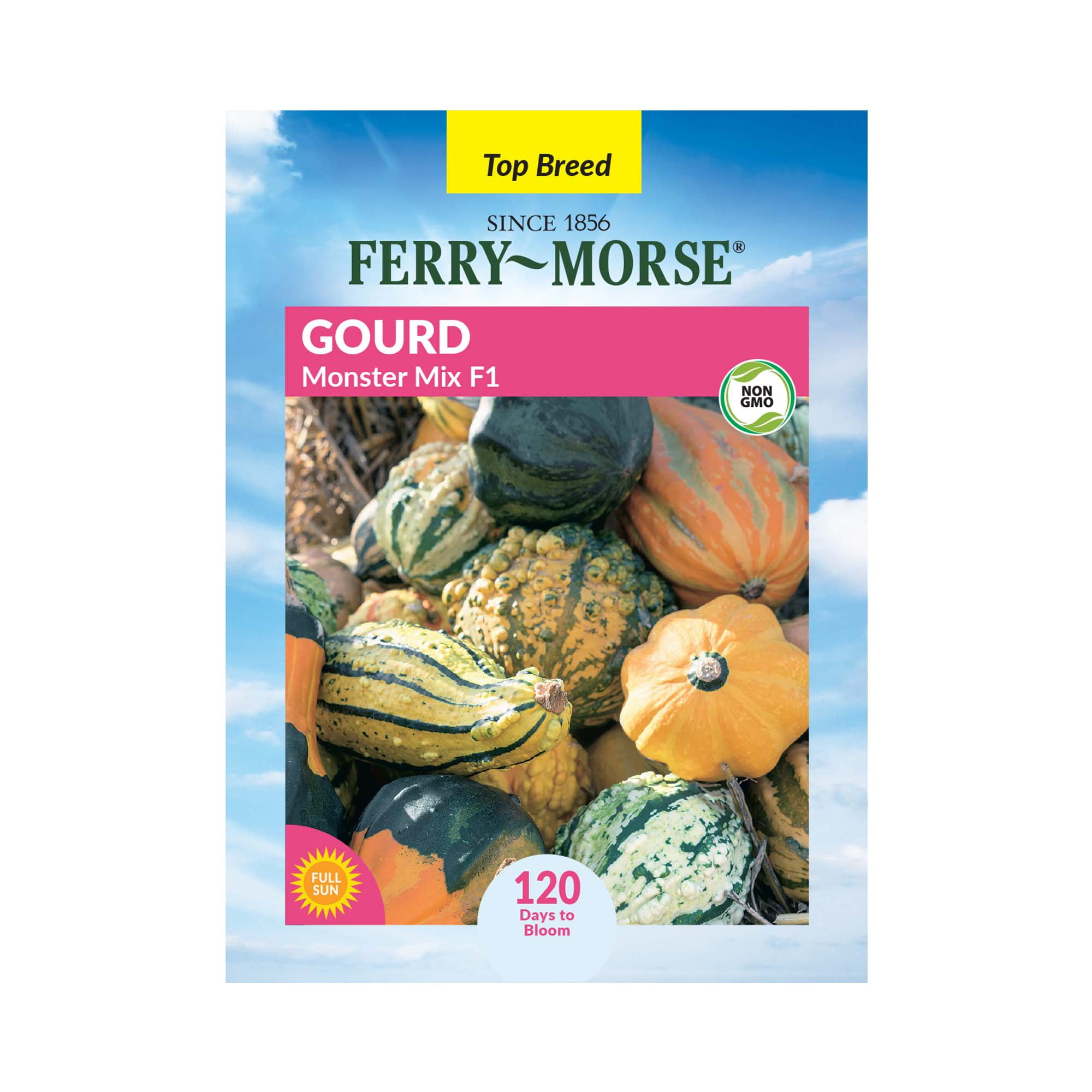 Ferry-Morse 1G Gourd Monster Mix F1 Annual Flower Seeds, Full Sun ...