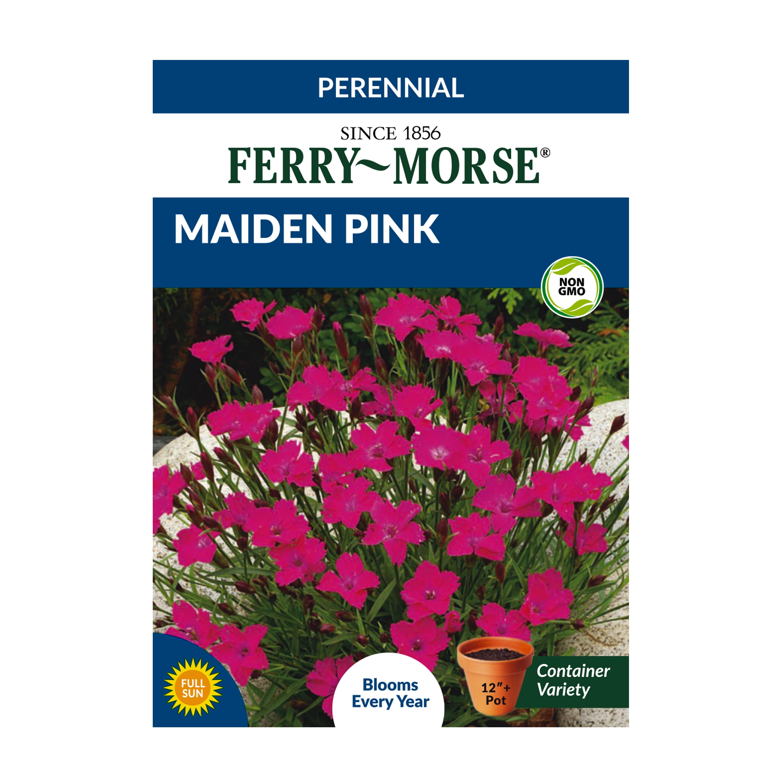 Ferry-Morse 1G Maiden Pinks Perennial Flower Seeds Full Sun - Walmart.com