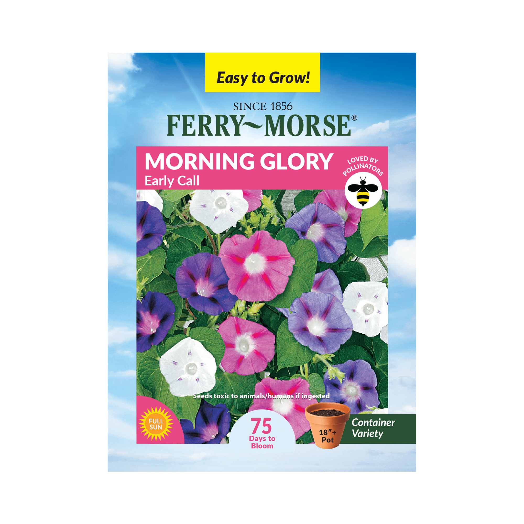 Ferry-Morse 1G Morning Glory Early Call Annual Flower Seeds, Full Sun - Walmart.com