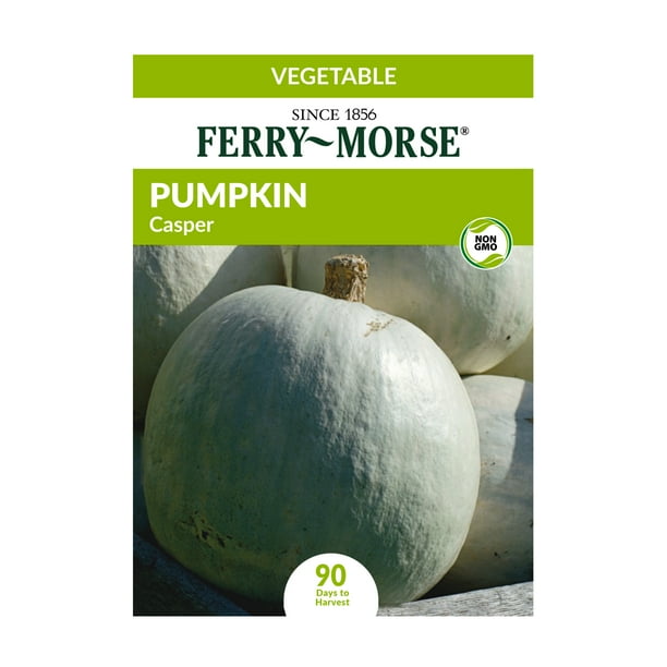 Ferry-Morse 1G Pumpkin Casper Vegetable Plant Seed Full Sun - Walmart ...