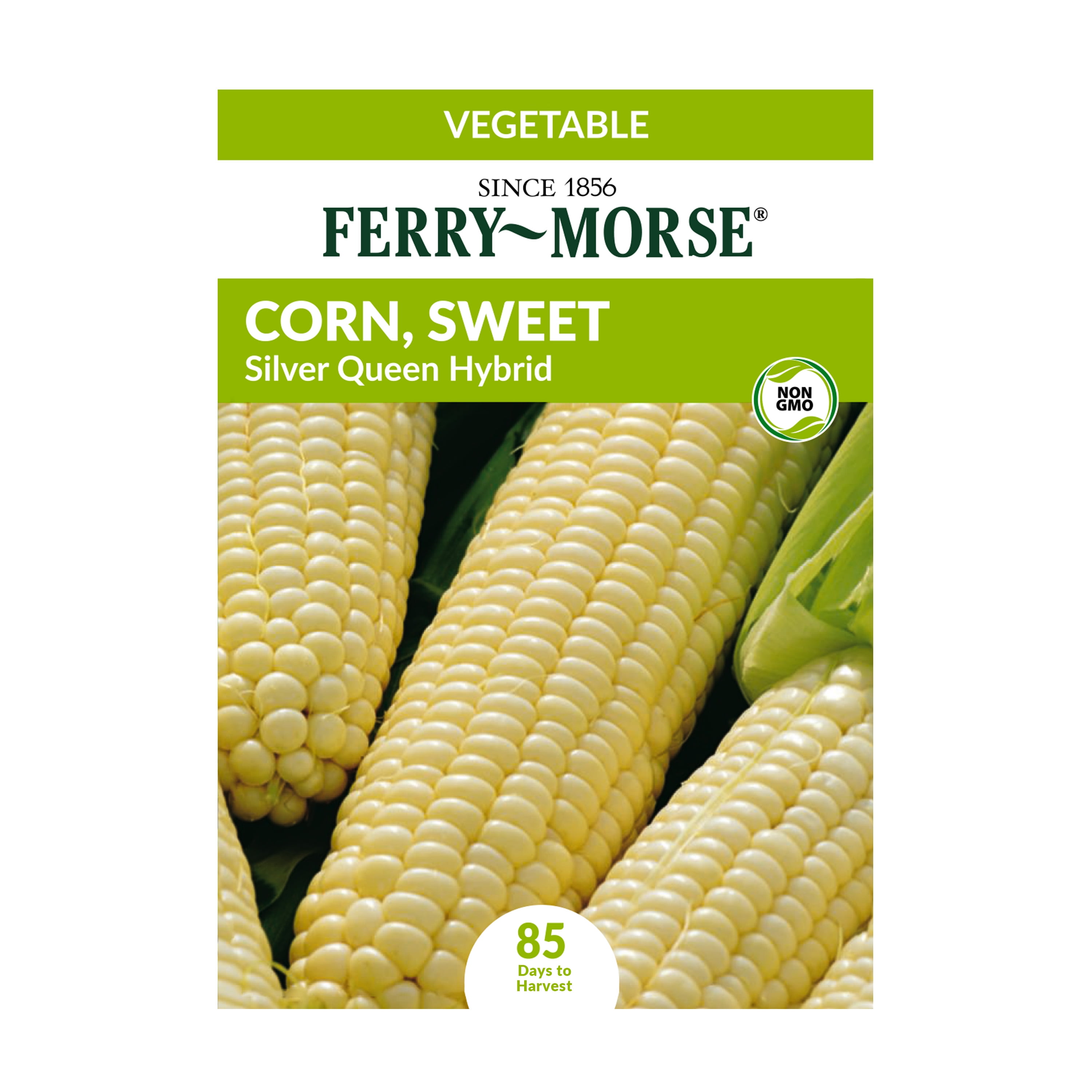 Ferry-Morse 1G Sweet Corn Silver Queen Hybrid Vegetable Plant Seed Full ...