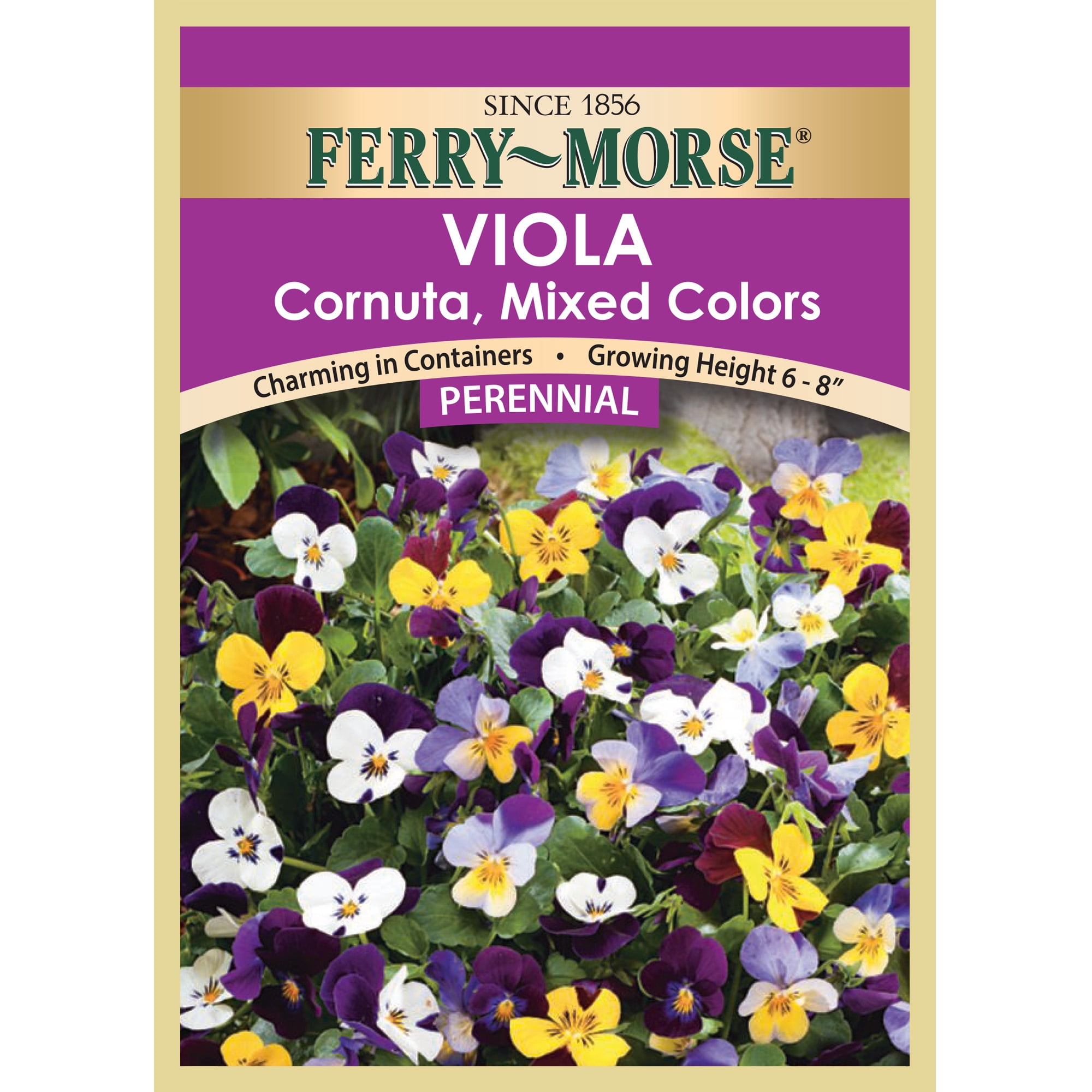 Ferry-Morse 1G Viola Cornuta Miced Colors Perennial Flower Seeds, Full ...