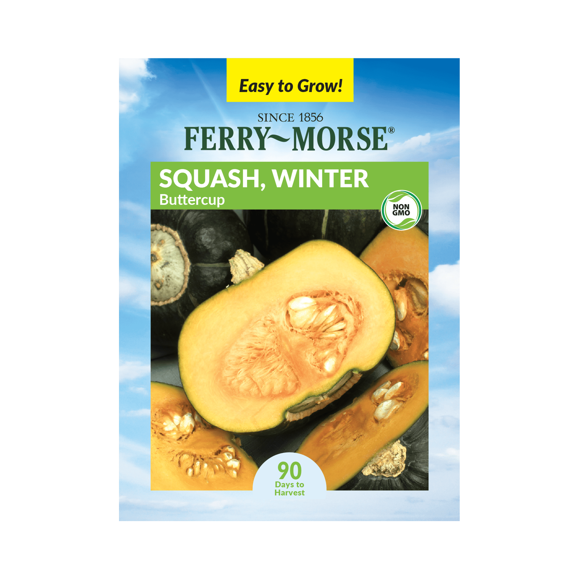 Ferry-Morse 2.5G Squash Buttercup Annual Vegetable Seeds, Full Sun ...