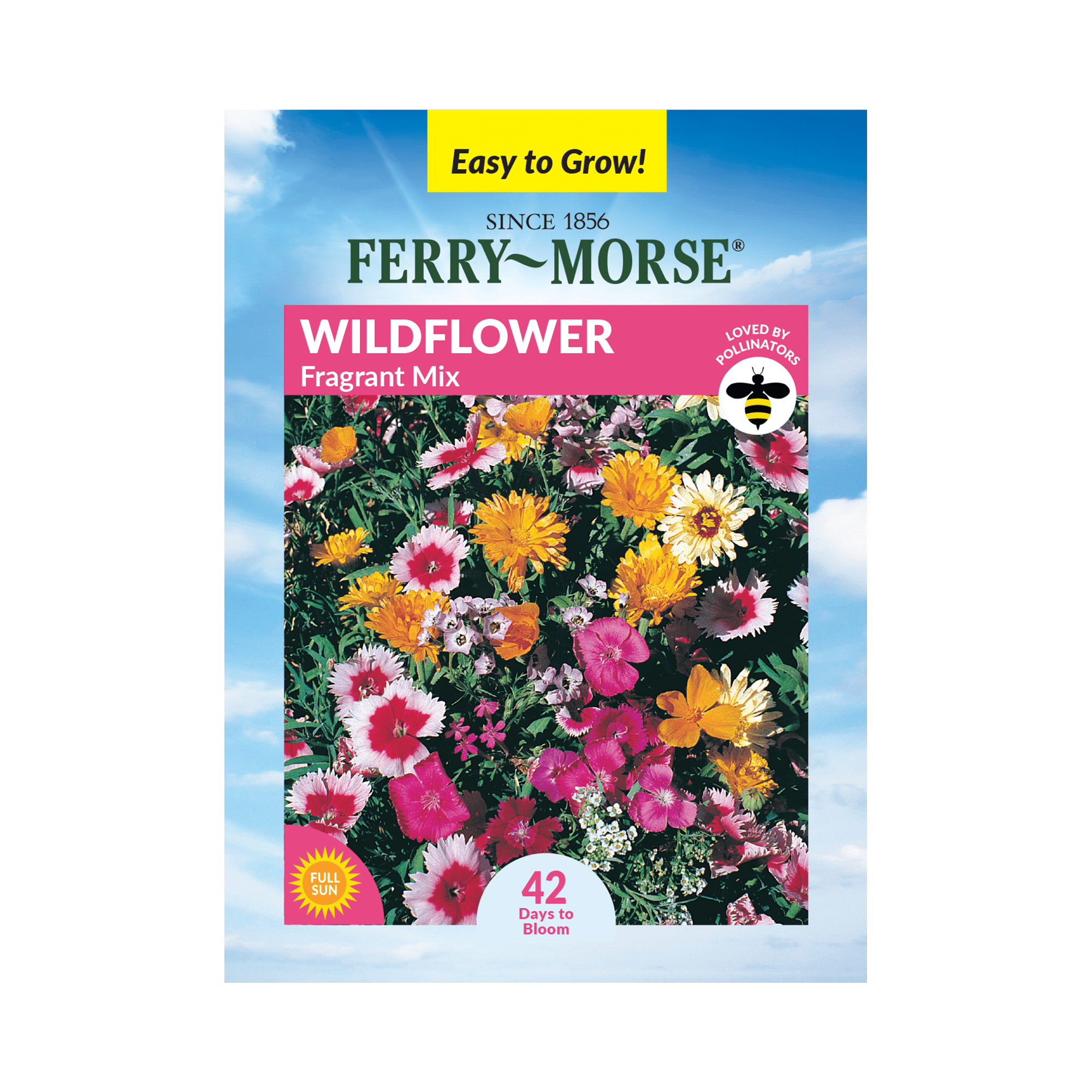 Ferry-Morse 2.8G Wildflower Fragrant Mixture Annual Flower Seeds, Full ...