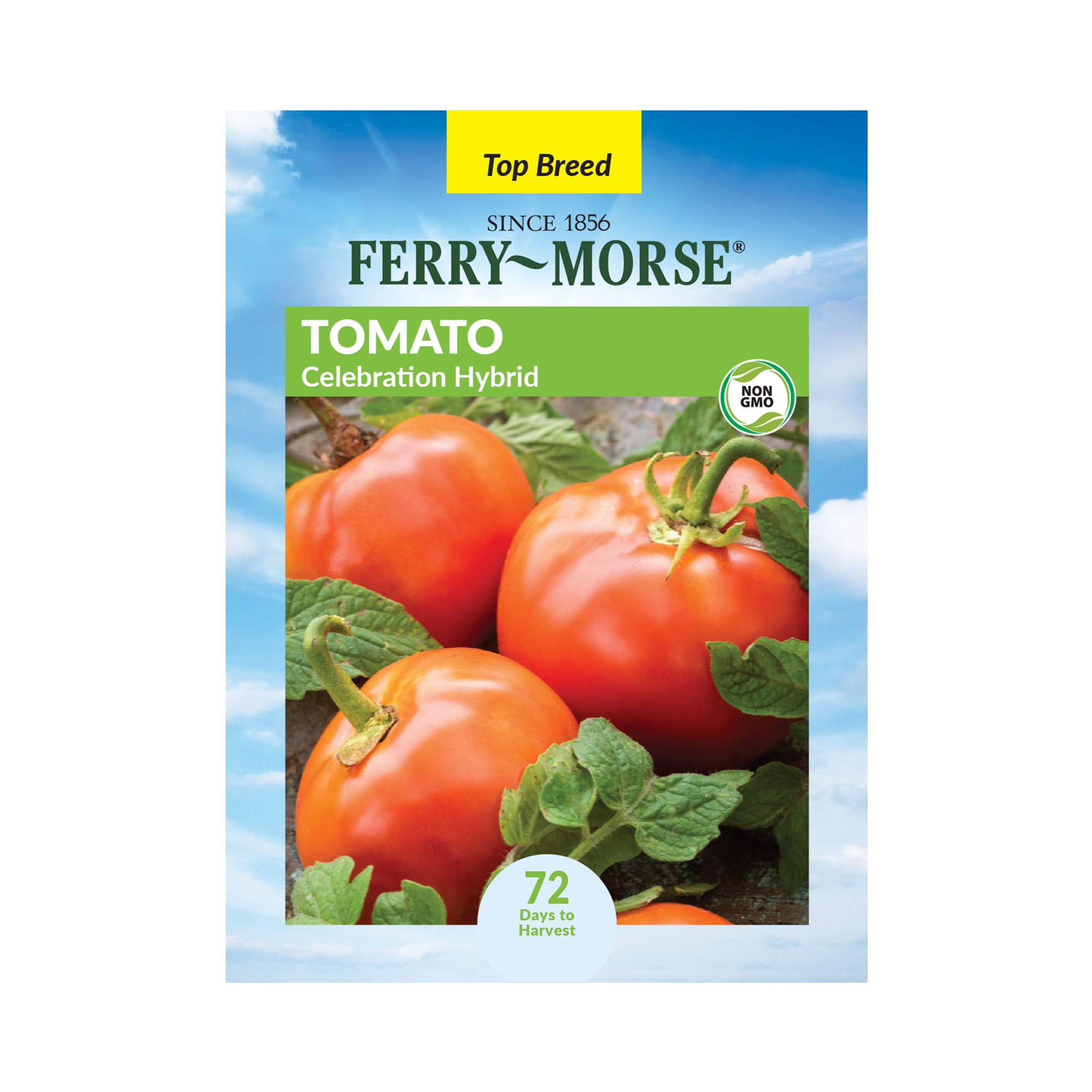 Ferry-Morse 100MG Tomato Celebration Hybrid Annual Vegetable Seeds ...