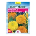 Ferry-Morse 200MG Marigold Crackerjack Mixed Colors Annual Flower Seeds ...