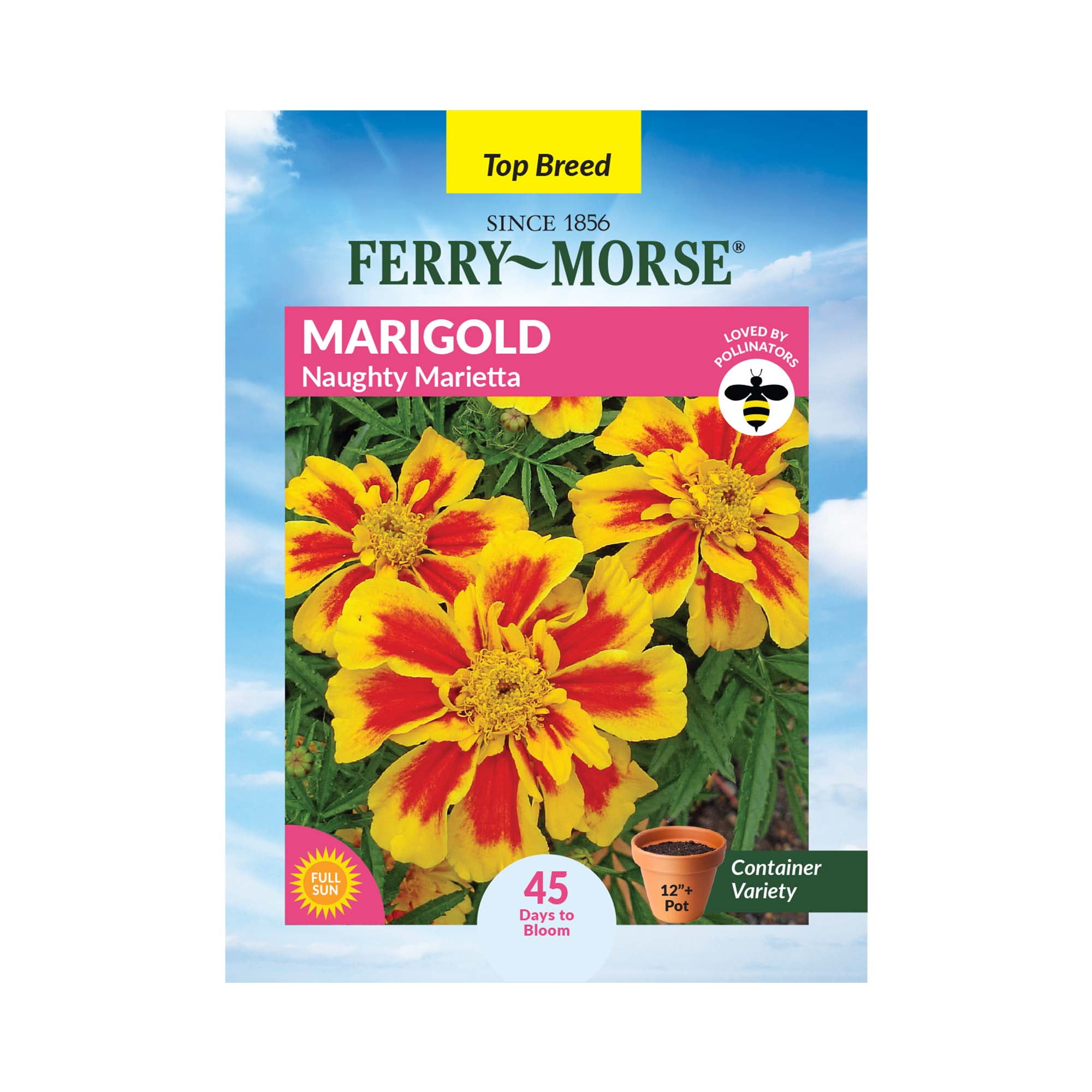 Ferry-Morse 240MG Marigold Naughty Marietta Annual Flower Seeds, Full ...