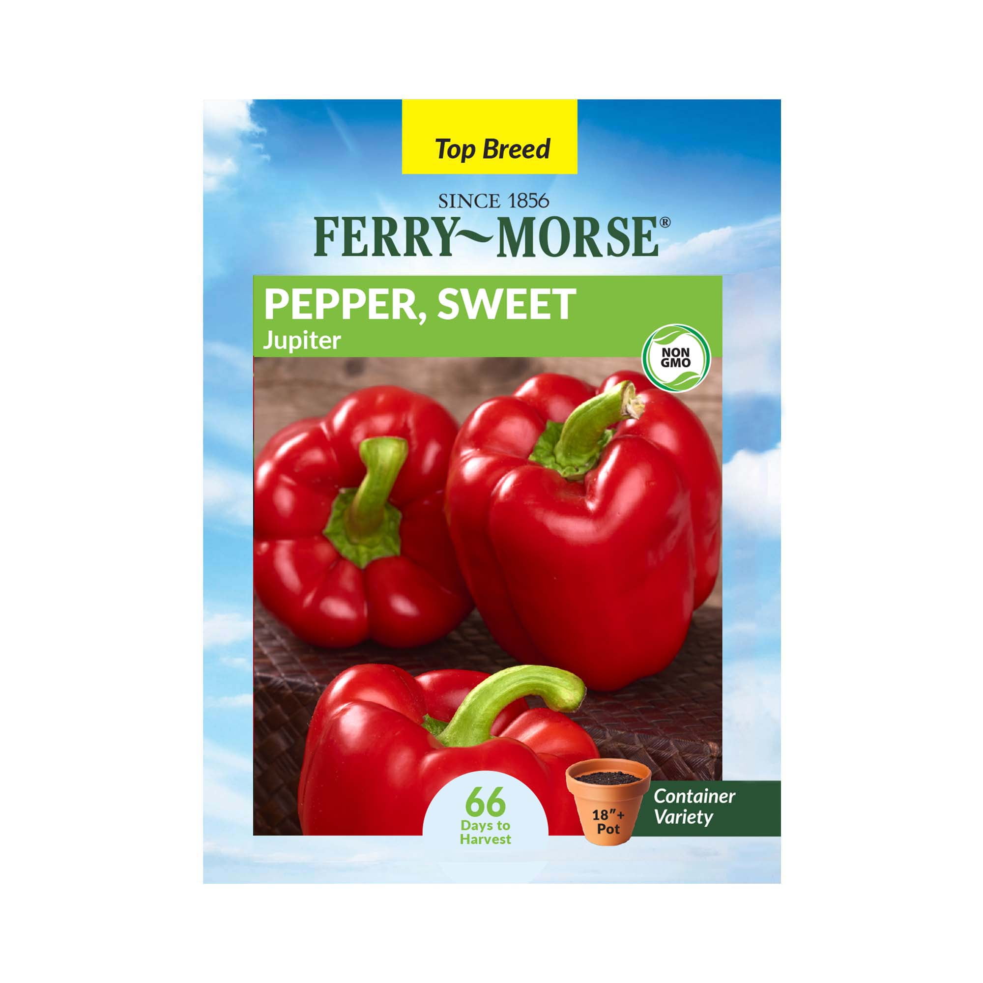 Ferry-Morse 250MG Pepper Jupiter Annual Vegetable Seeds, Full Sun ...