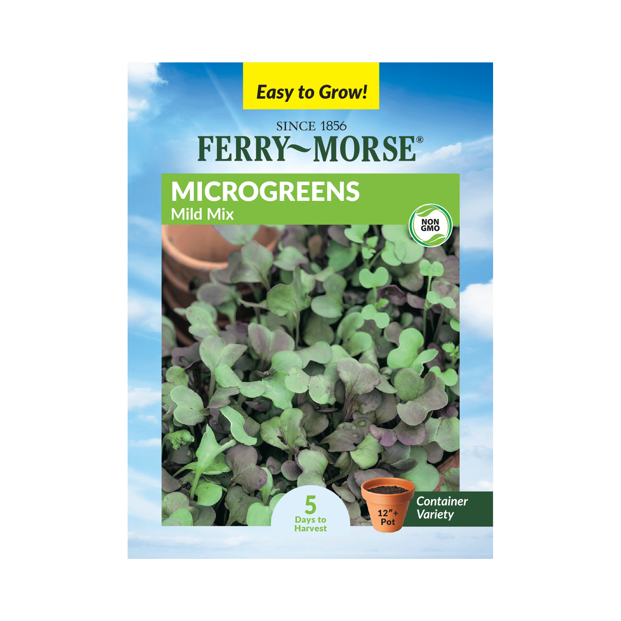 Ferry-Morse 2G MicroGreens Mild Mix Annual Vegetable Seeds, Full Sun ...