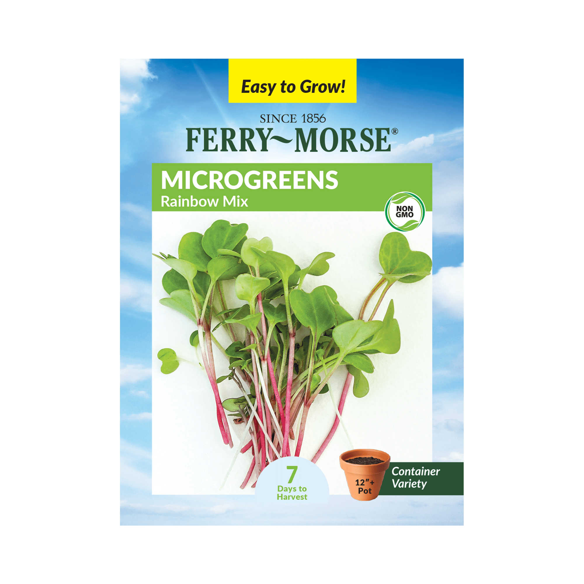 Ferry-Morse 2G MicroGreens Rainbow Mix Annual Vegetable Seeds, Full Sun ...