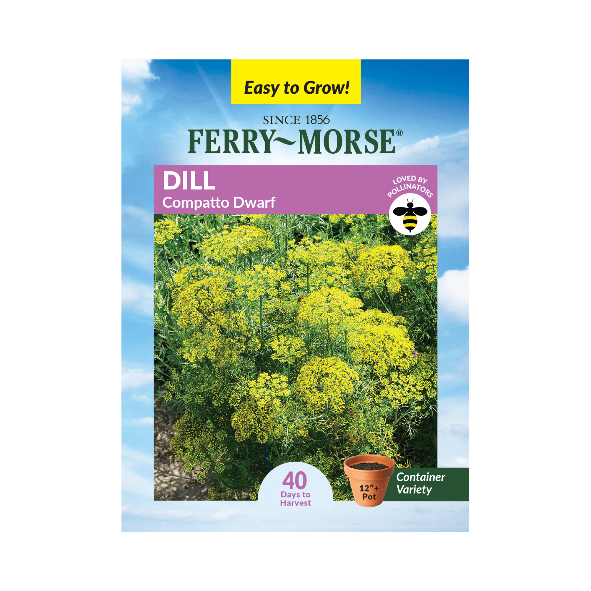 Ferry-Morse 300MG Dill Compatto Dwarf Annual Herb Seeds, Full Sun ...