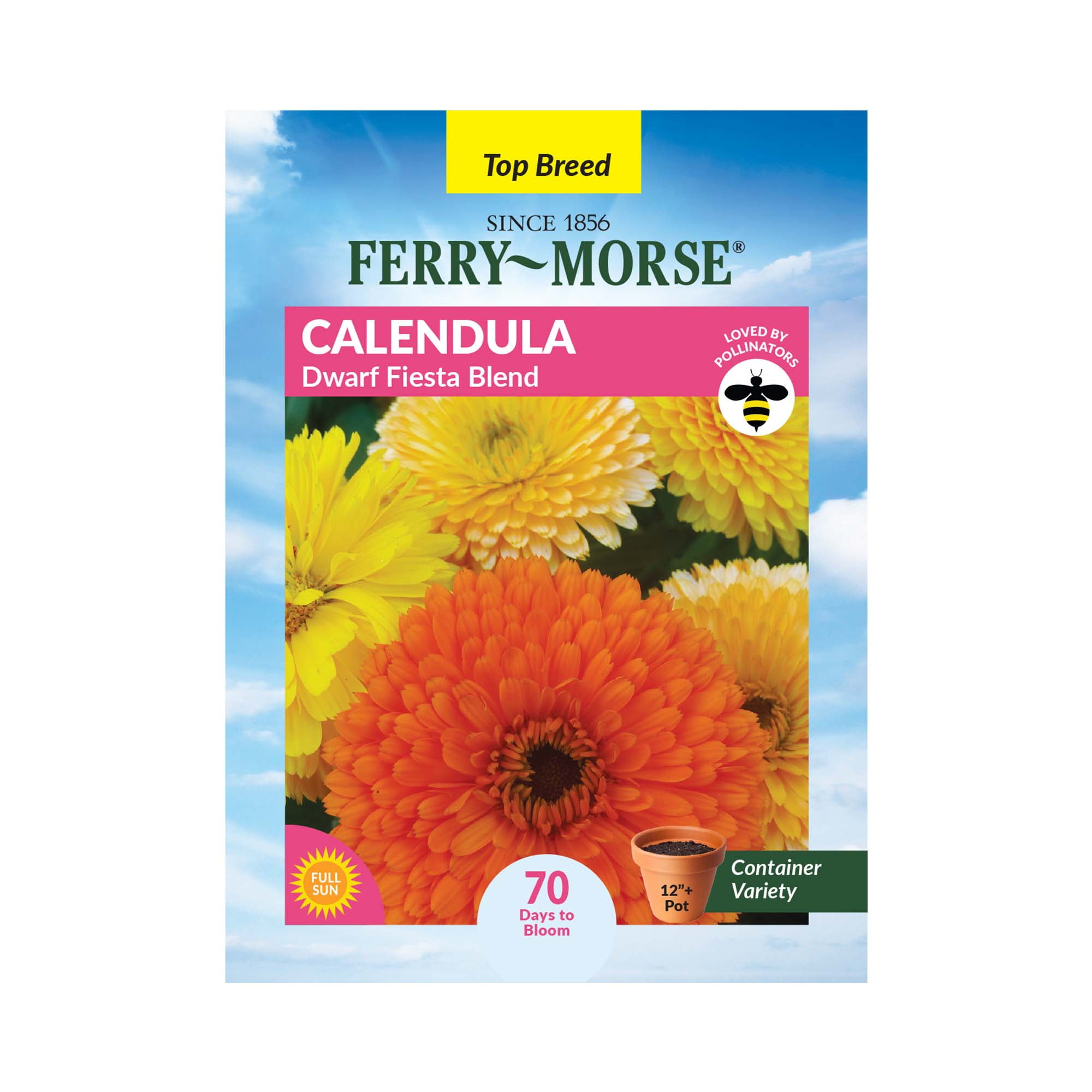 Ferry-Morse 325MG Calendula Dwarf Fiesta Blend Annual Flower Seeds ...