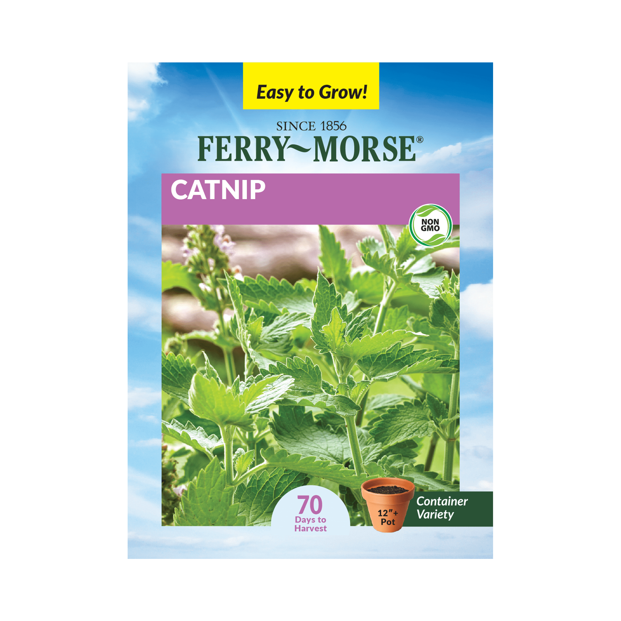 Ferry-Morse 350MG Catnip Perennial Herb Seeds, Full Sun - Walmart.com
