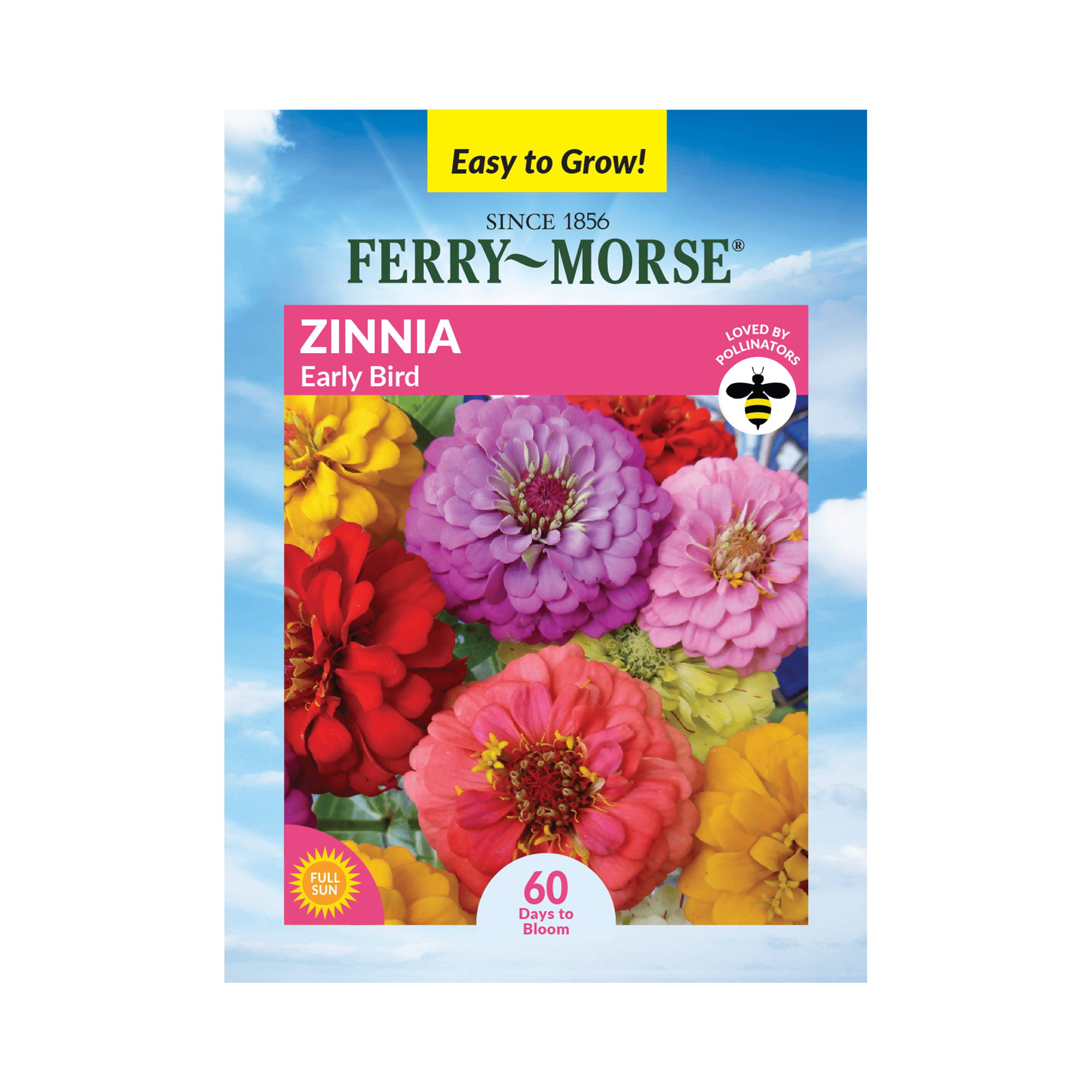Ferry-Morse 400MG Zinnia Early Bird Annual Flower Seeds, Full Sun ...