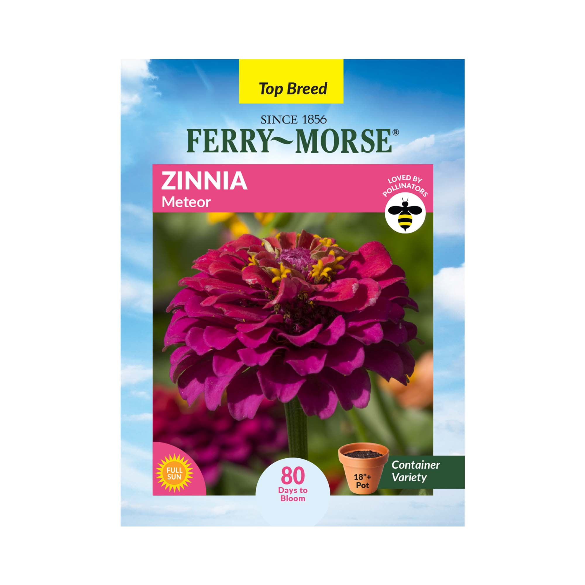 Ferry-Morse 400MG Zinnia Meteor Annual Flower Seeds, Full Sun - Walmart.com