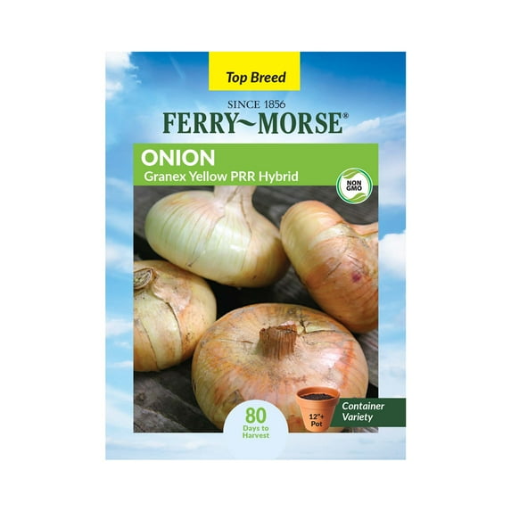 Ferry-Morse 480MG Onion Hybrid Granex Yellow Perennial Vegetable Seeds ...