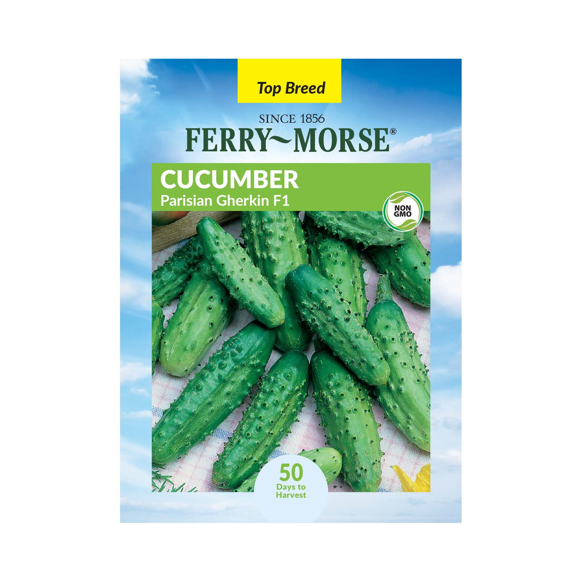 Ferry-Morse 500MG Cucumber Parisian Gherkin Annual Vegetable Seeds ...