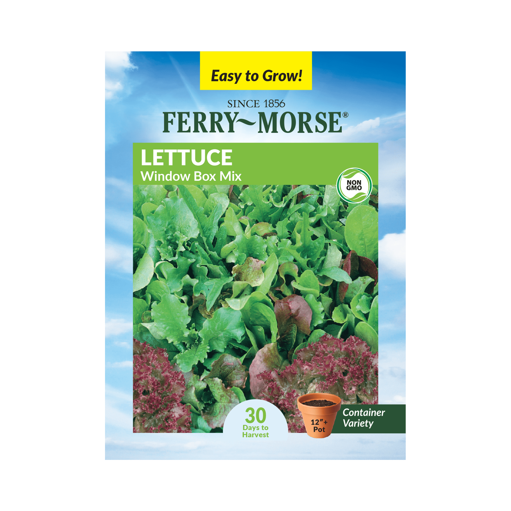 Ferry-Morse 500MG Lettuce Window Box Mix Annual Vegetable Seeds, Full ...
