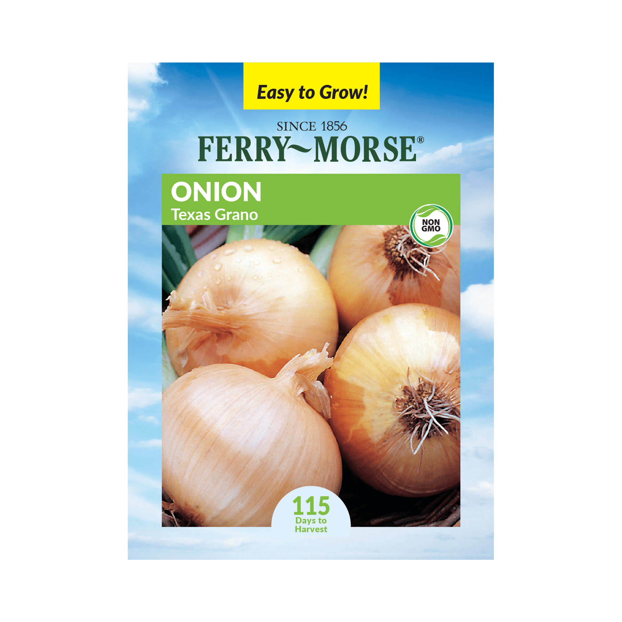 Ferry-Morse 500MG Onion Texas Grano Perennial Vegetable Seeds, Full Sun ...