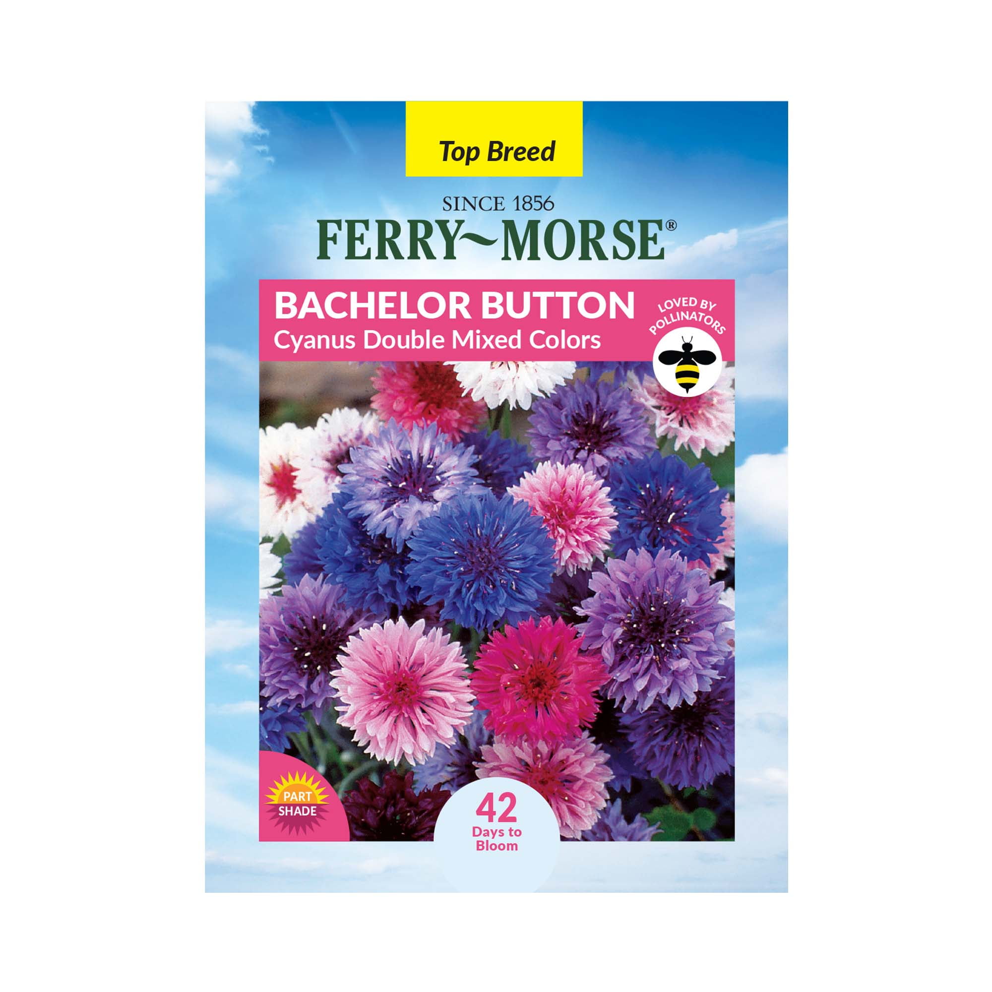 Ferry-Morse 570MG Bachelor Button Cyanus Double Mixed Colors Annual Flower Seeds, Full Sun ...