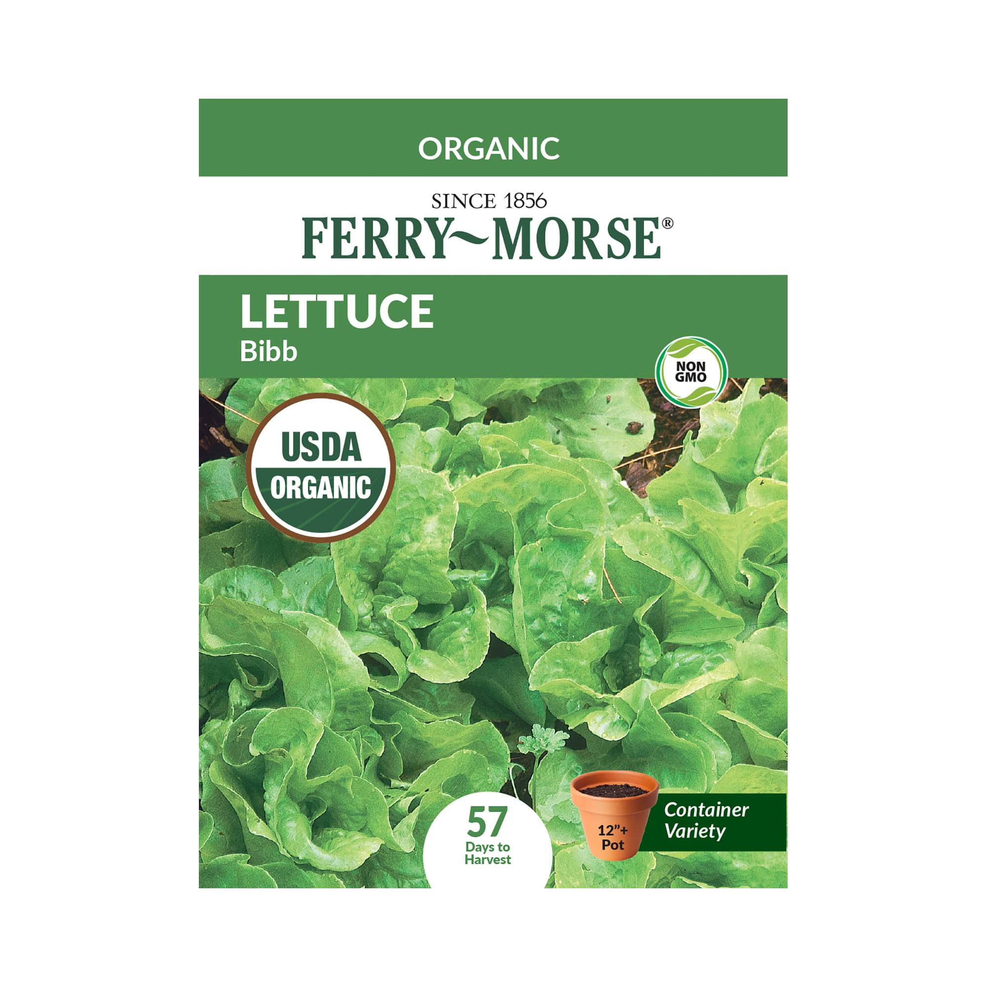 Ferry-Morse Organic 575MG Lettuce Bibb Annual Vegetable Seeds, Full Sun ...