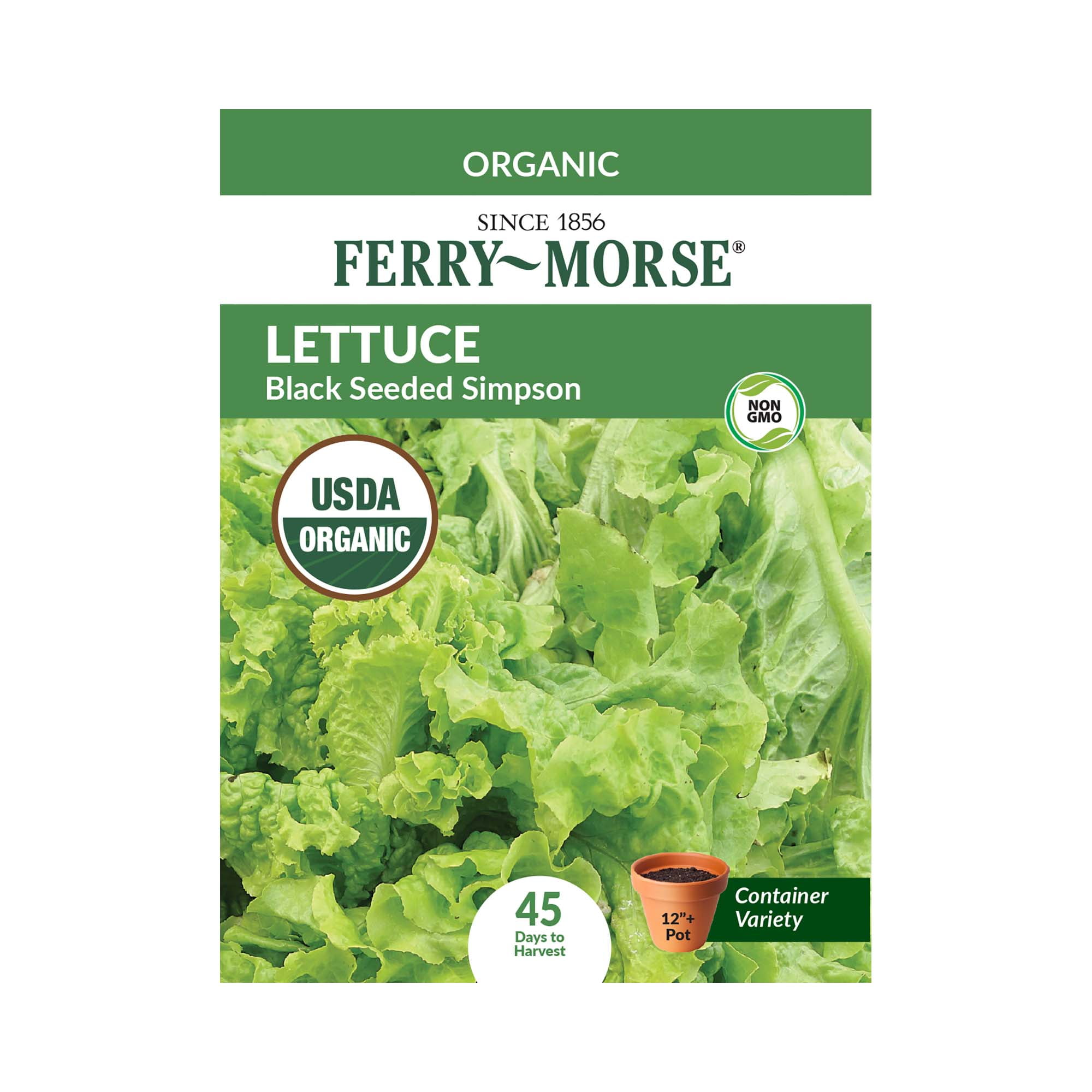 Ferry-Morse Organic 575MG Lettuce Black Seeded Simpson Annual Vegetable ...