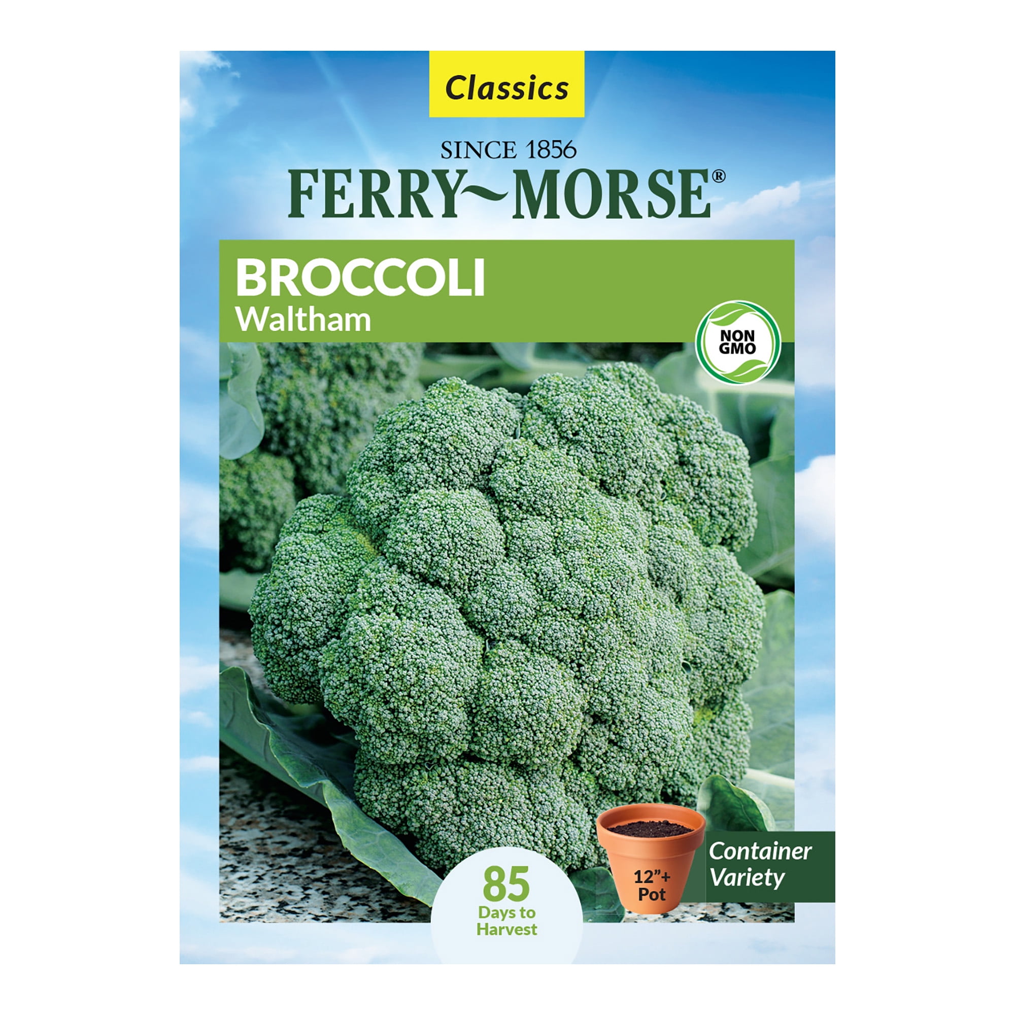 Ferry-Morse 600MG Broccoli Waltham Vegetable Plant Seeds Full Sun ...