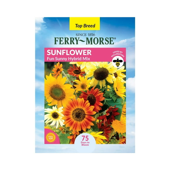 Sunflower Flower Seeds in Seed Gardening - Walmart.com