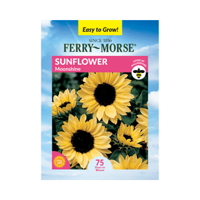 Sunflower Flower Seeds in Seed Gardening - Walmart.com