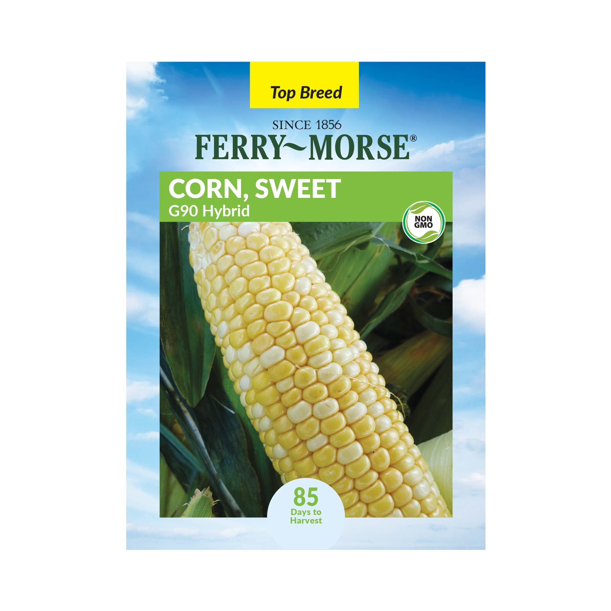 Ferry-Morse 6G Corn G90 Hybrid Annual Vegetable Seeds, Full Sun ...