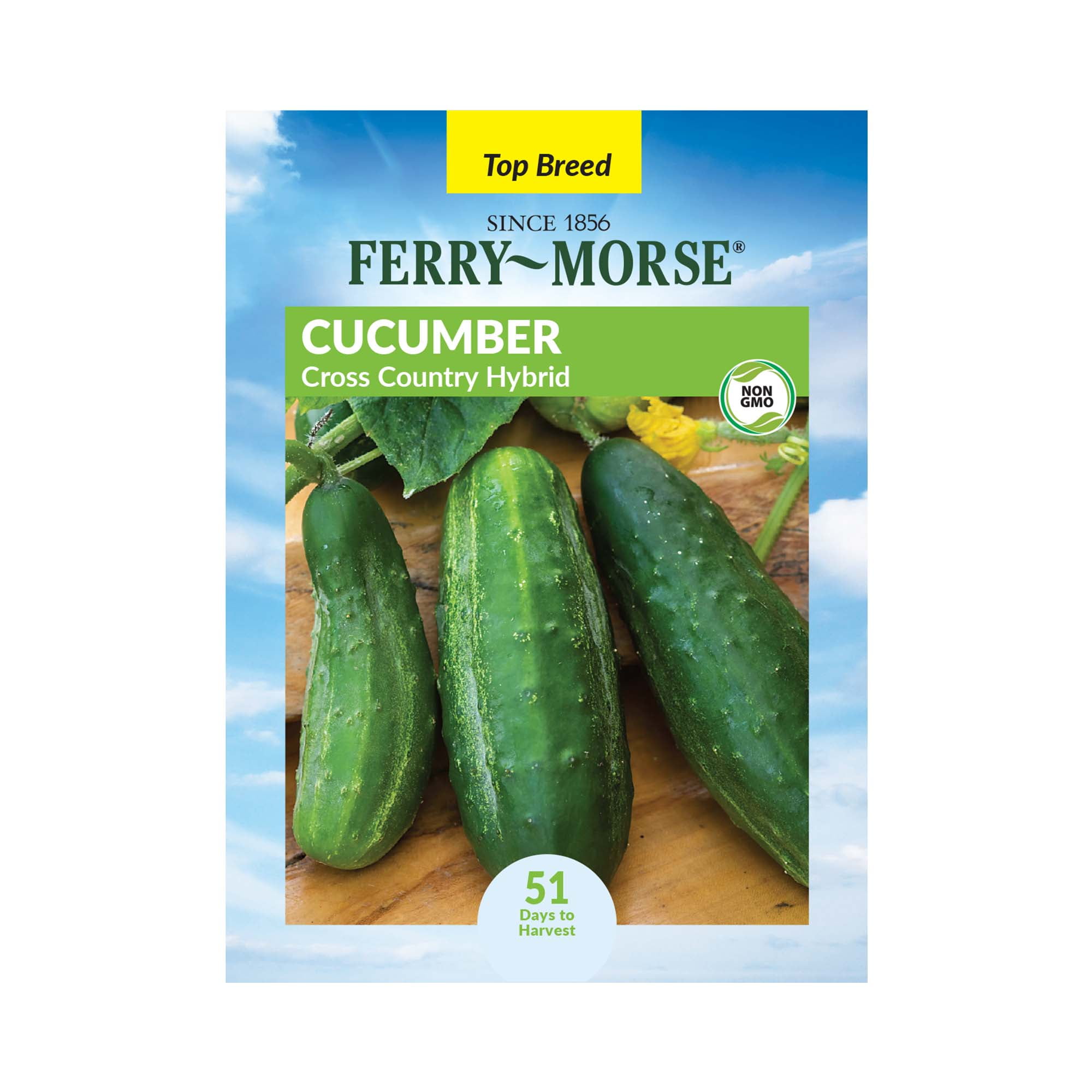 Ferry-Morse 700MG Cucumber Cross Country Hybrid Annual Vegetable Seeds ...